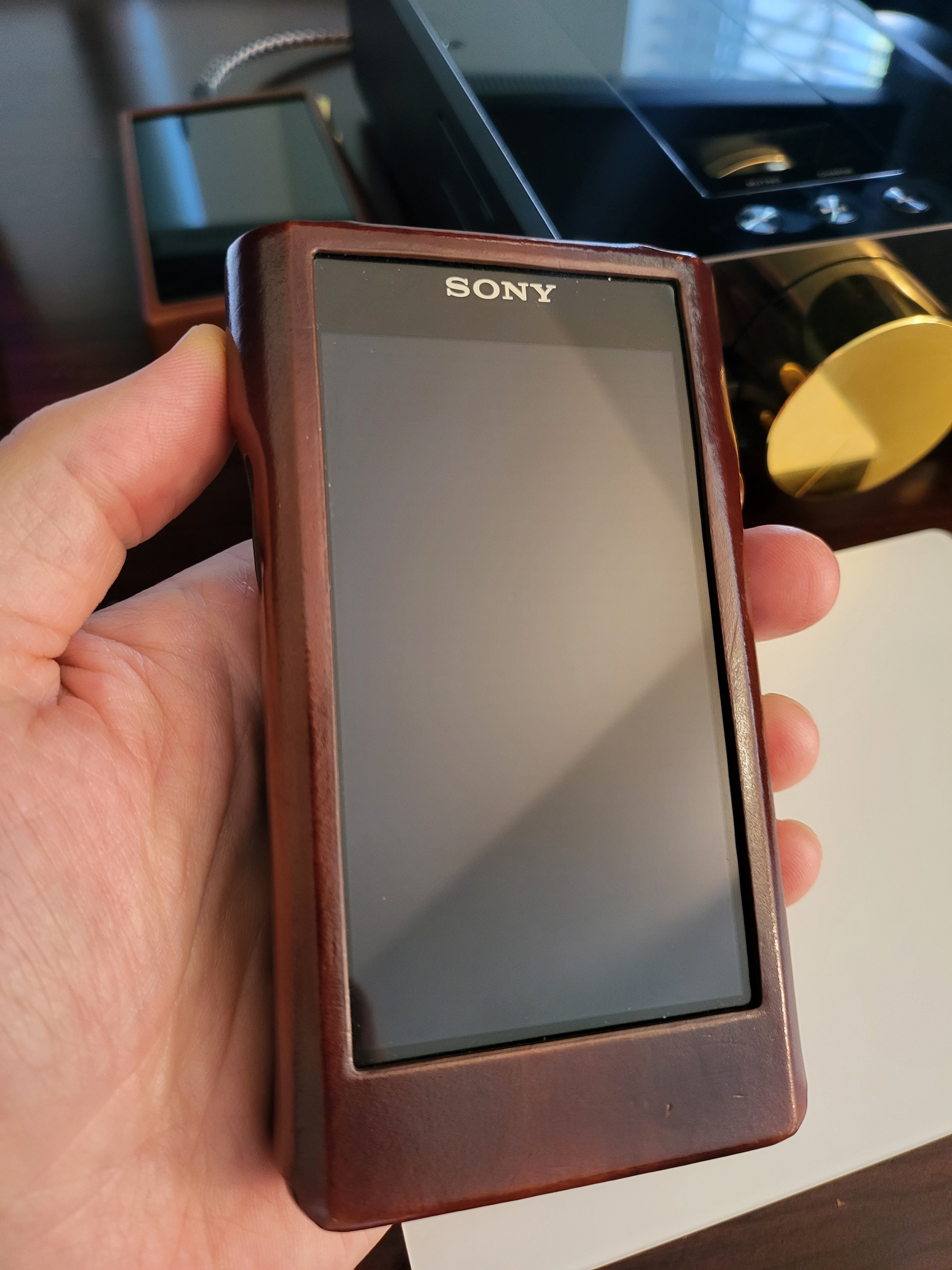 Official Sony DMP-Z1 Thread | Headphone Reviews and Discussion - Head ...