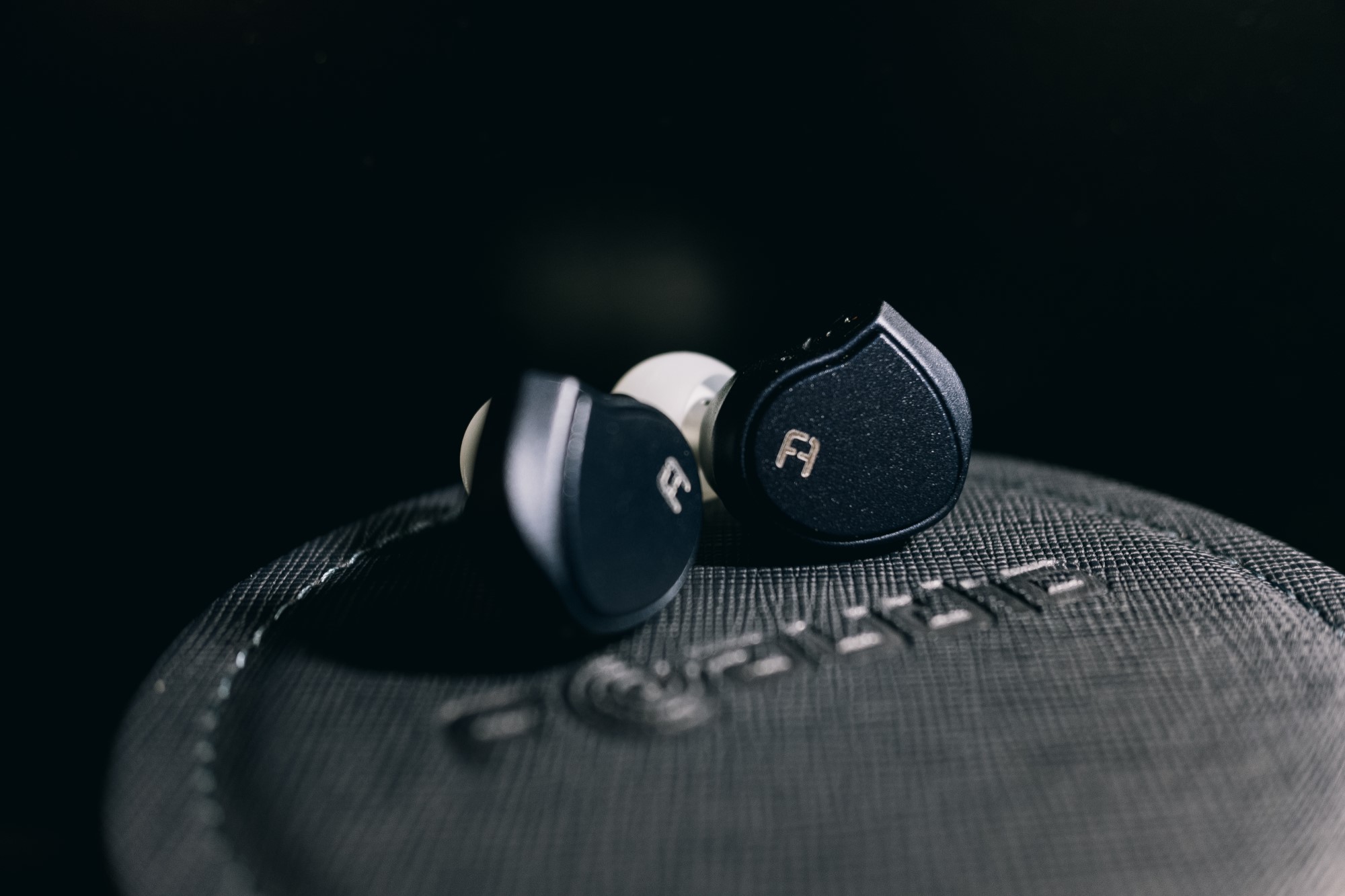 FAudio Dark Sky Flagship IEM | Headphone Reviews and Discussion - Head ...
