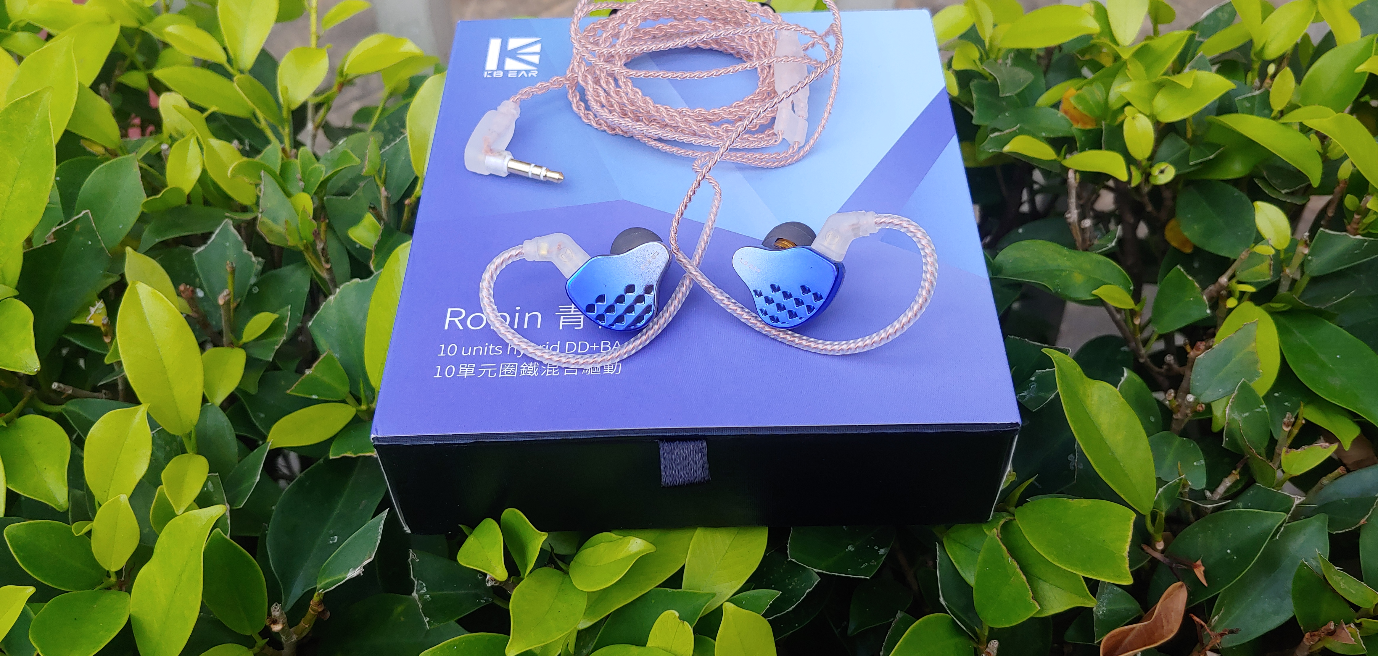 KB EAR Robin | Headphone Reviews and Discussion - Head-Fi.org