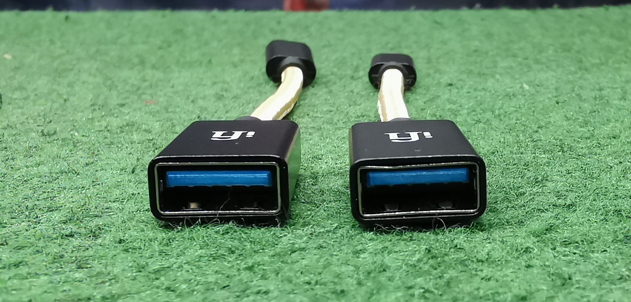 Closed: IFI AUDIO OTG Android cable (Micro-USB & USB-C) | Headphone ...