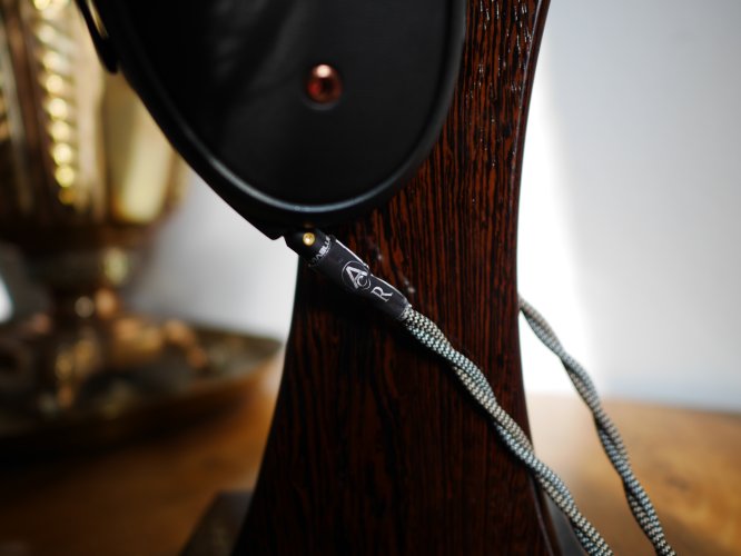 Traded: Arctic Cables Magnus S for Meze Liric and other dual 3.5mm ...