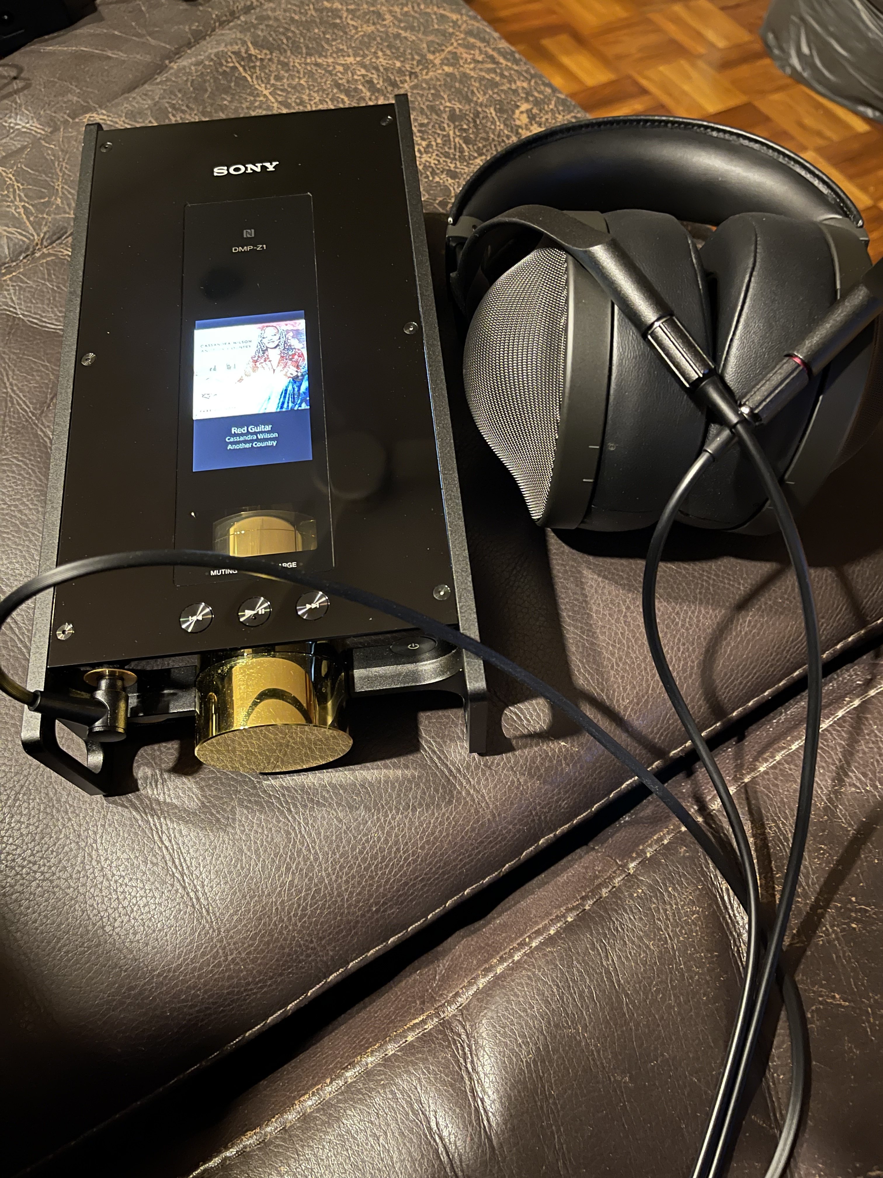 Official Sony DMP-Z1 Thread | Headphone Reviews and Discussion - Head ...