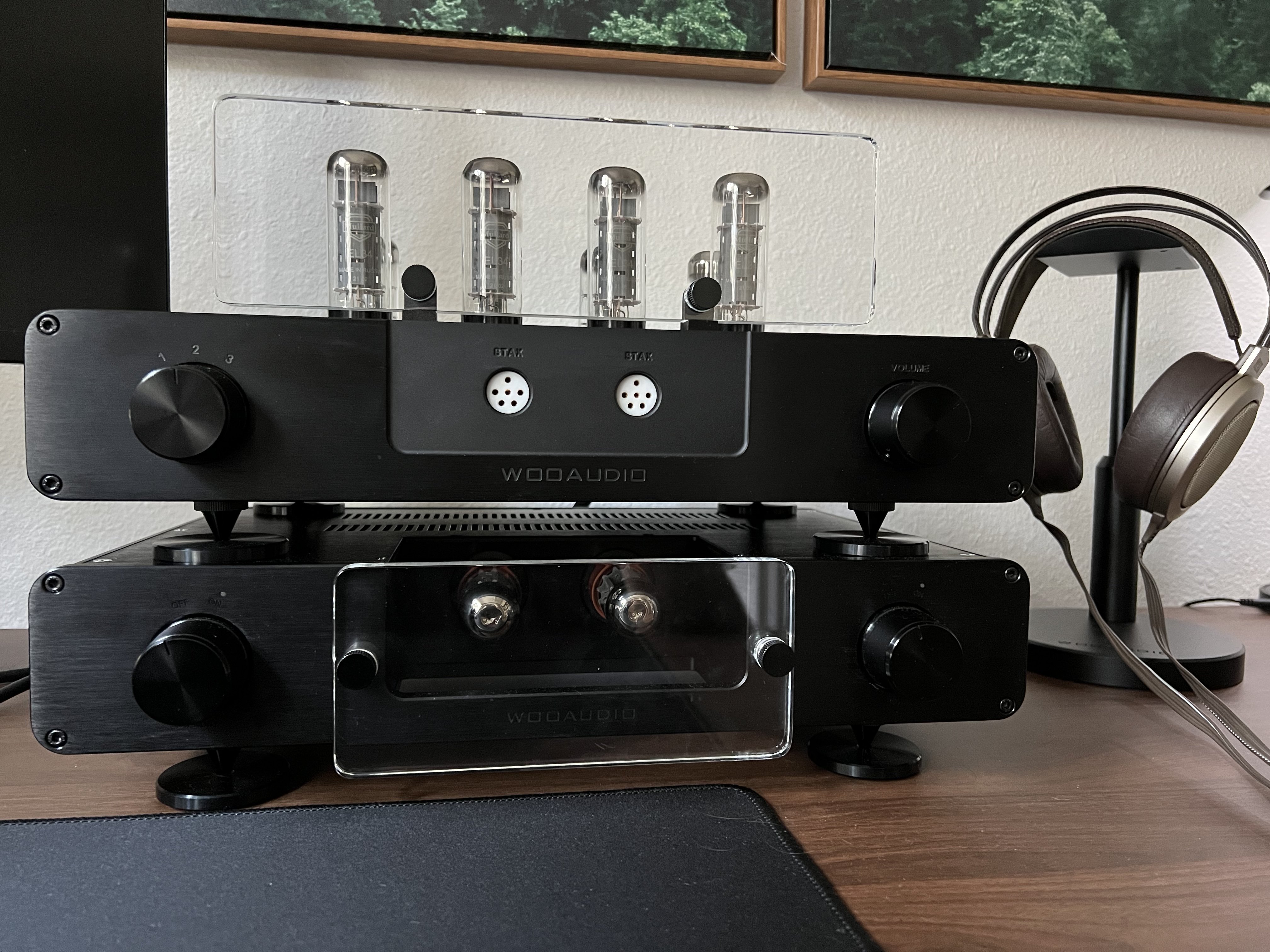 Sold: Woo Audio WES (2nd gen) Electrostatic Headphone Amplifier ...