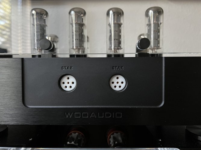 Sold: Woo Audio WES (2nd gen) Electrostatic Headphone Amplifier ...