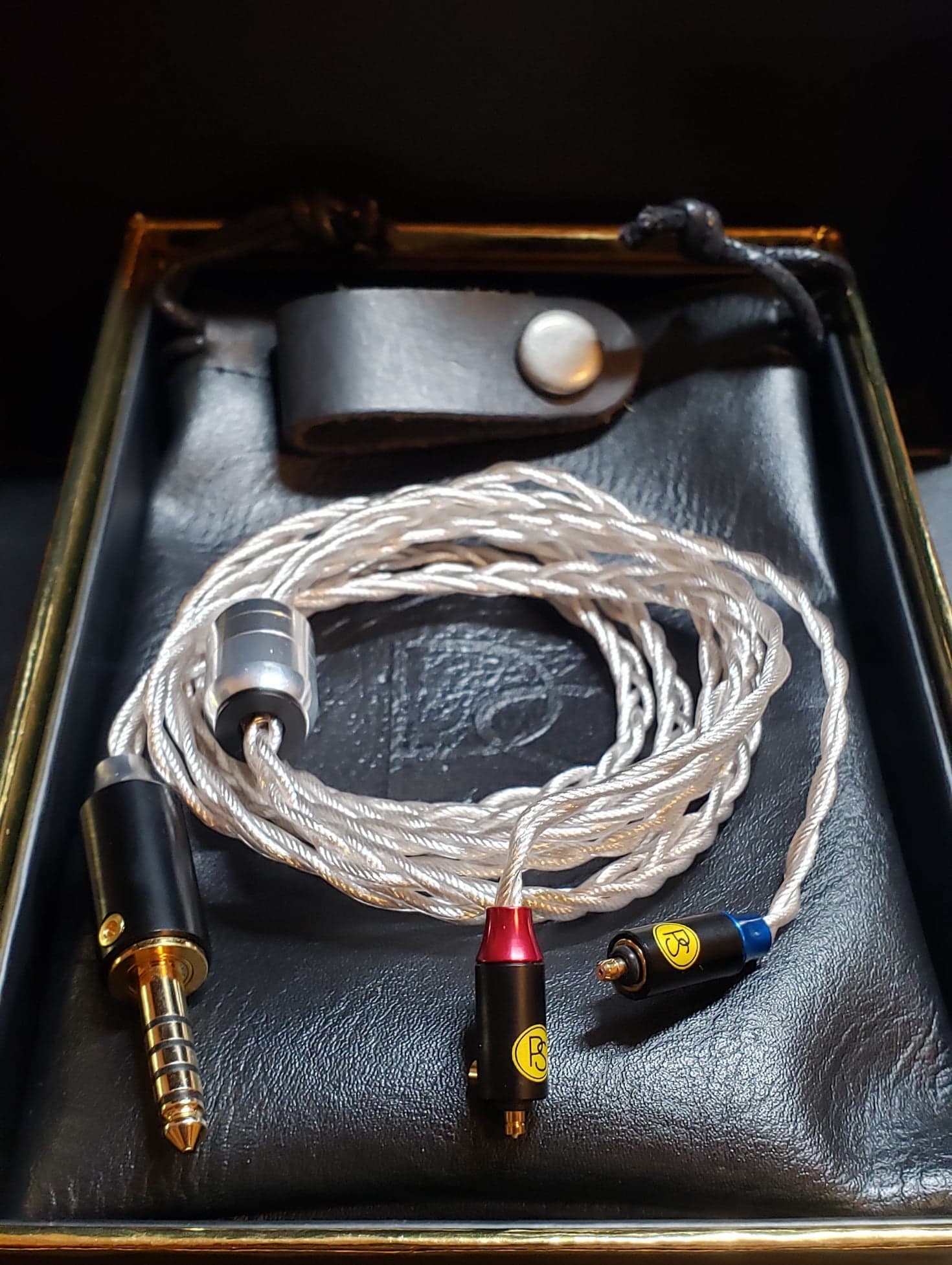 Closed: PLUSSOUND Exo Series Custom IPX Cable 4.4MM (Silver + Gold ...