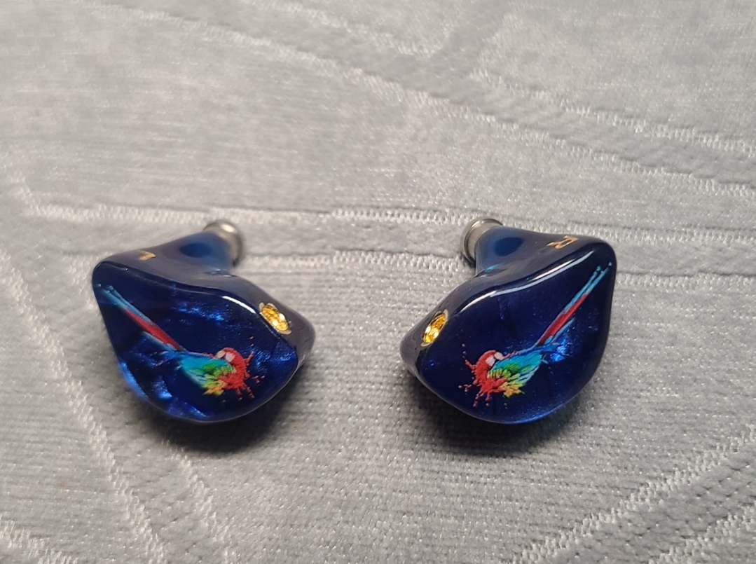 Sold: JVC fw10000 re-shell earphones | Headphone Reviews and Discussion ...