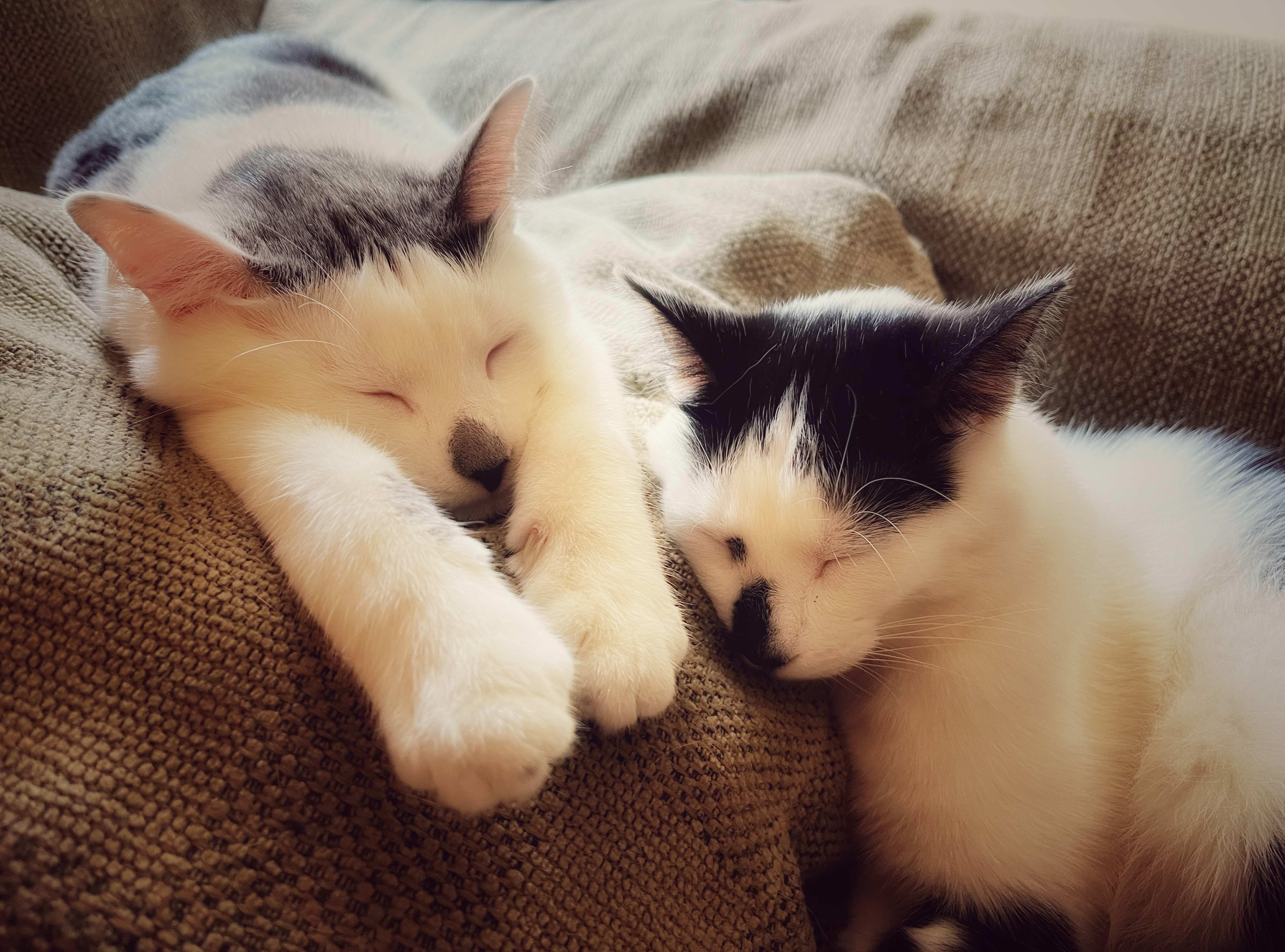 Schiit Happened: The Story of the World's Most Improbable Start-Up | Page 7106 | Headphone ...