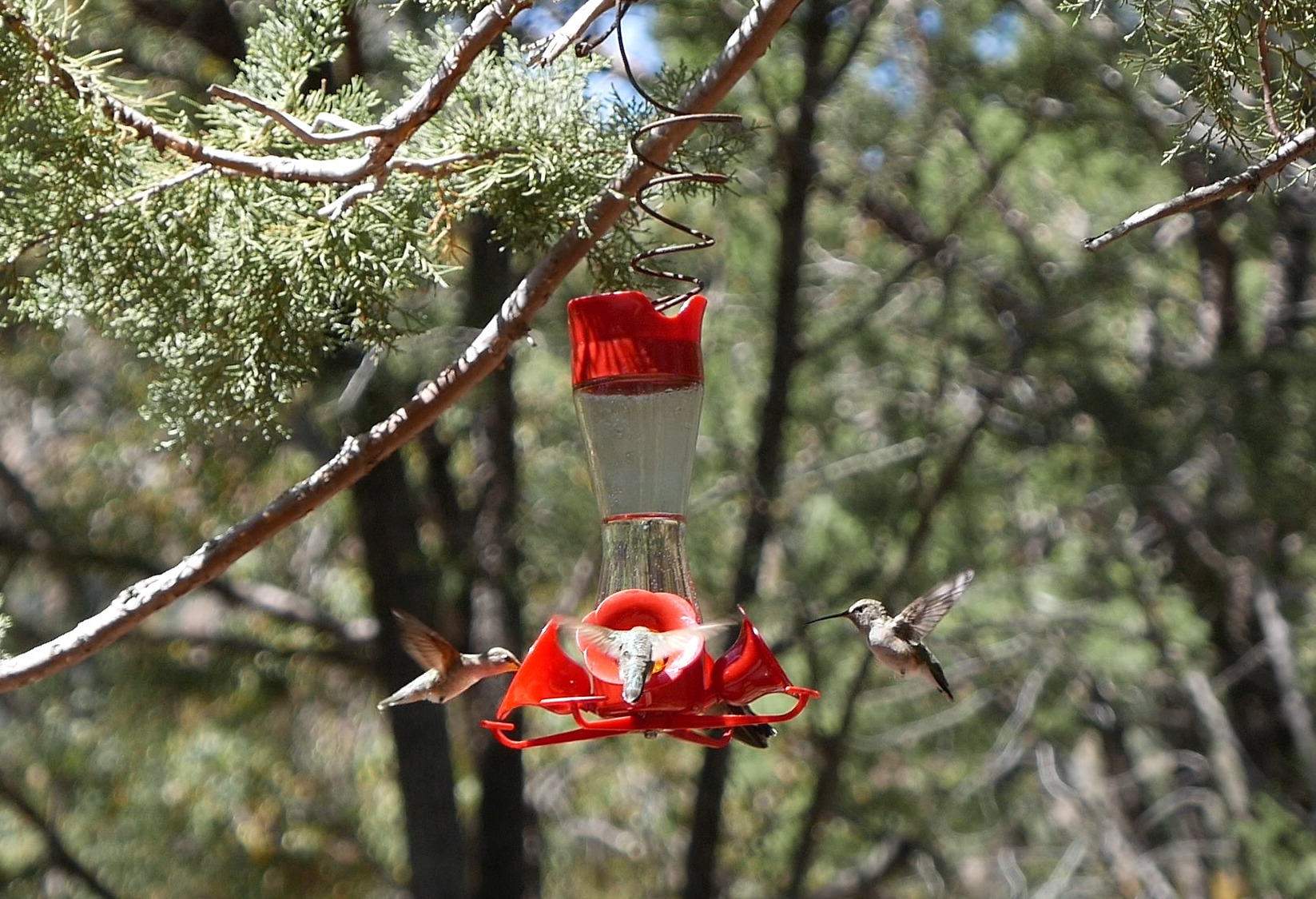 Schiit Happened: The Story of the World's Most Improbable Start-Up ...