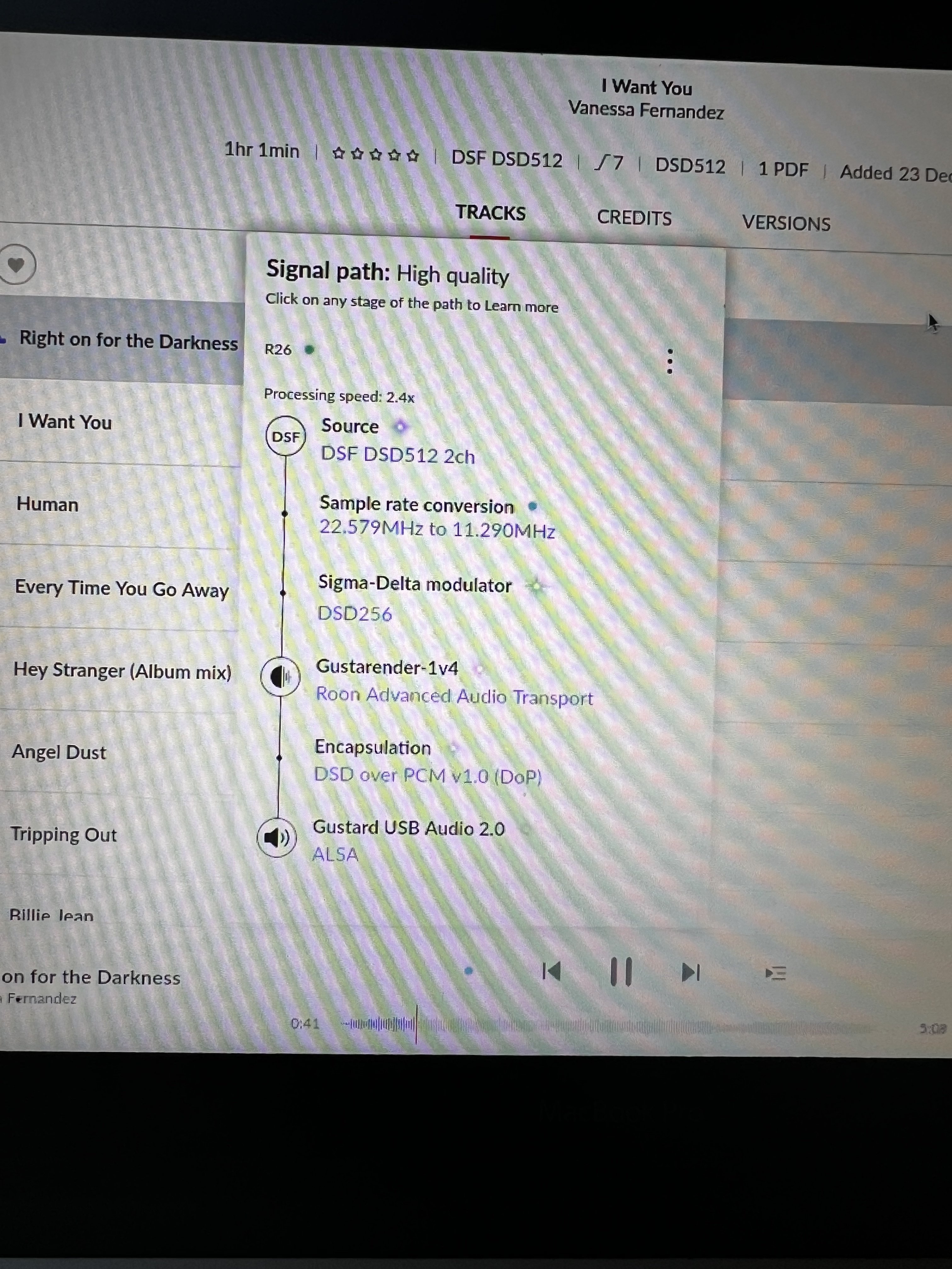 GUSTARD DAC-R26 Balanced Decoder R2R+1Bit Dual Native Decoding Music ...