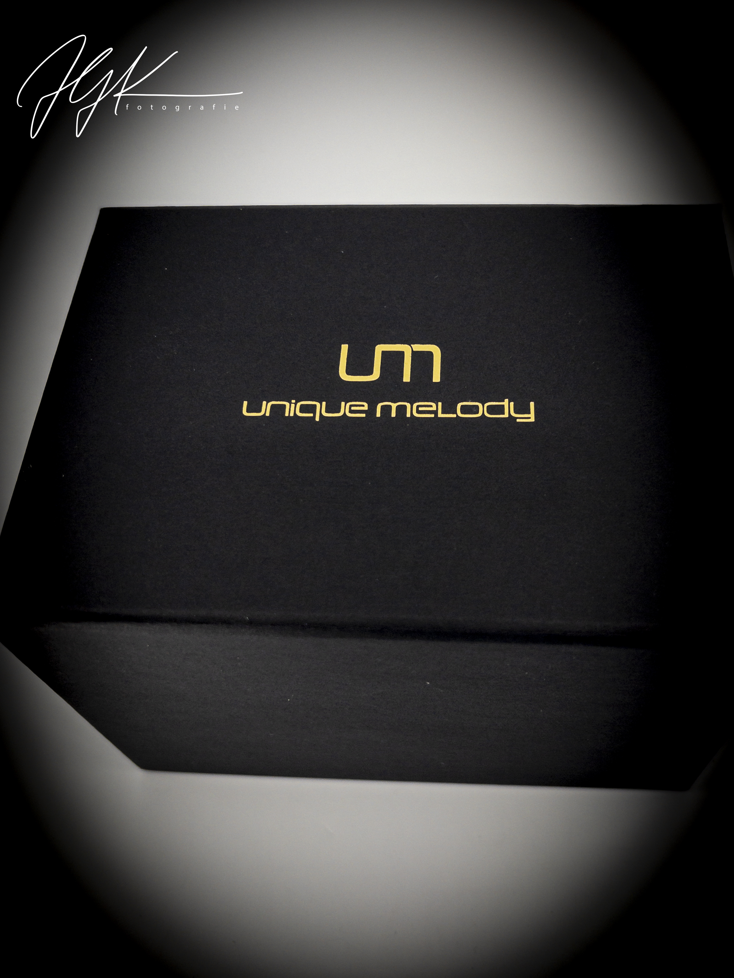 Sold: Like New UM Mest MKII (Unique Melody Mest Mark 2) | Headphone ...