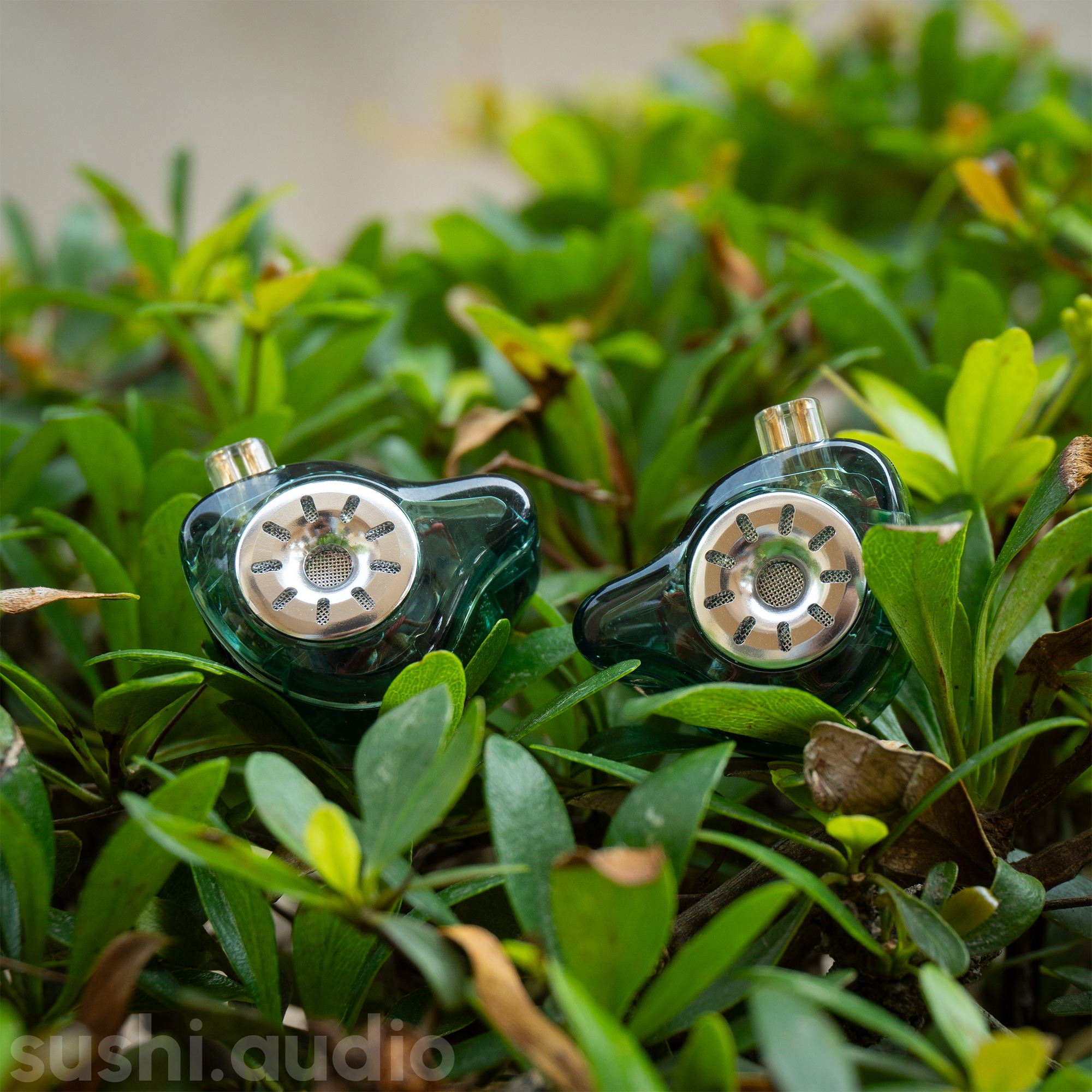 TRN ST1 Pro | Headphone Reviews and Discussion - Head-Fi.org