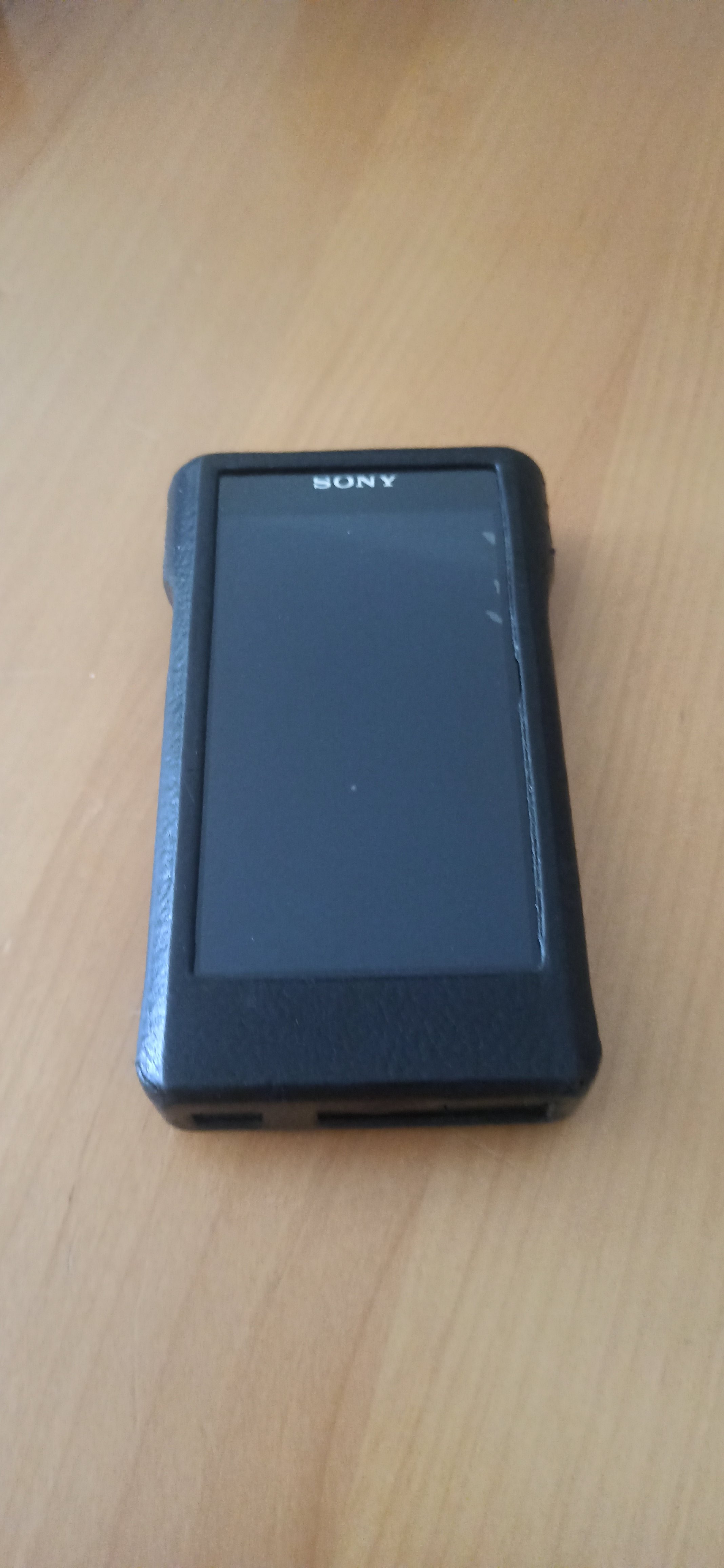 Closed: SONY WM1A (NPA hardware mod) + Dignis | Headphone Reviews and ...