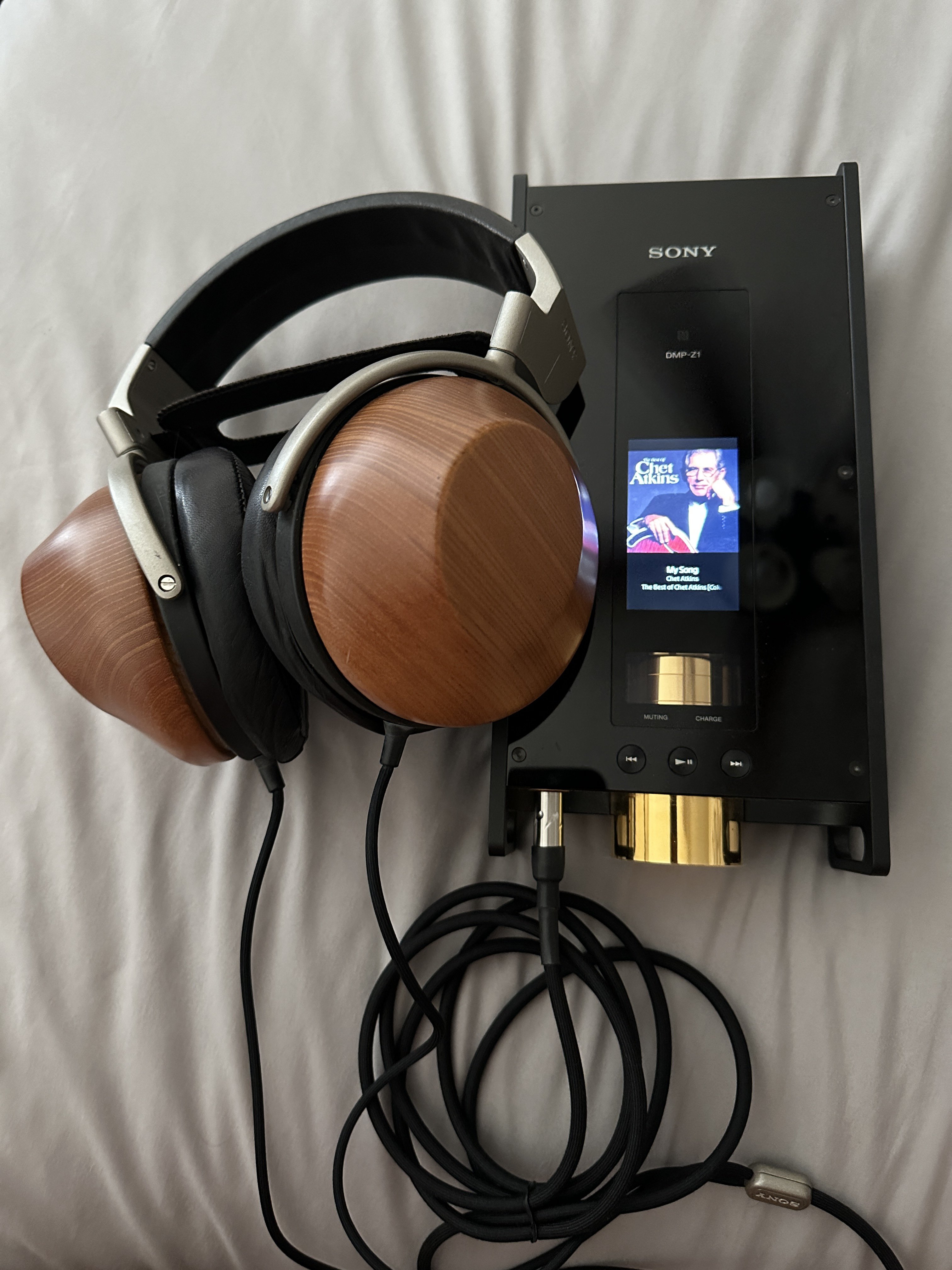 Sony MDR-R10 Owner's Club | Page 71 | Headphone Reviews and Discussion ...