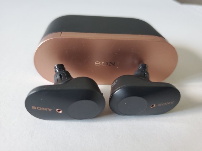 Closed: Sony WF1000XM3 TWS BT noise cancelling | Headphone Reviews and ...
