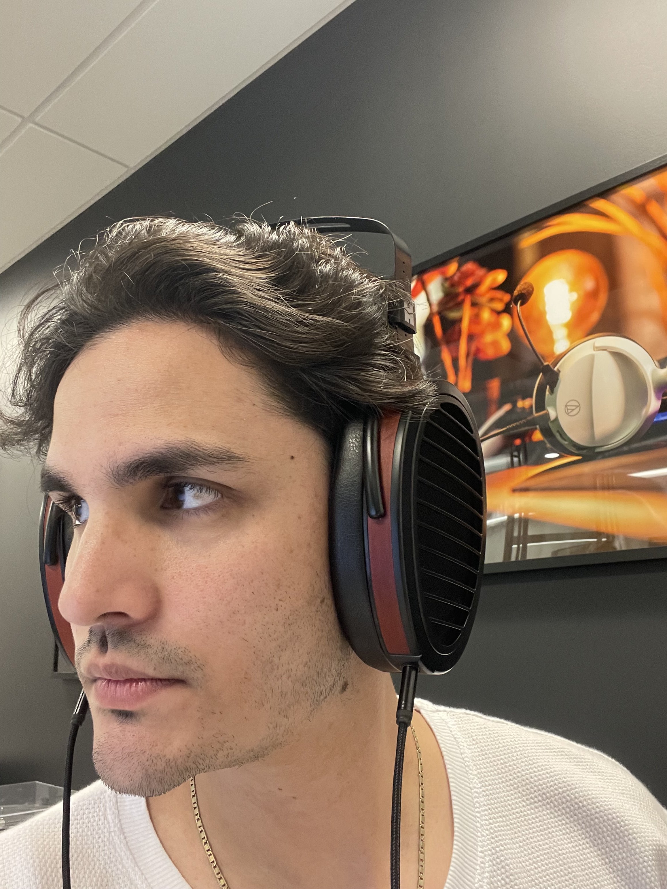 HIFIMAN Arya - Arya Stealth - Arya Organic :: Impressions Thread | Page ...