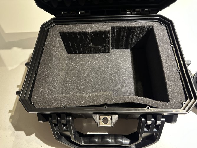 Closed: ZMF Seahorse Case & Pads | Headphone Reviews and Discussion ...