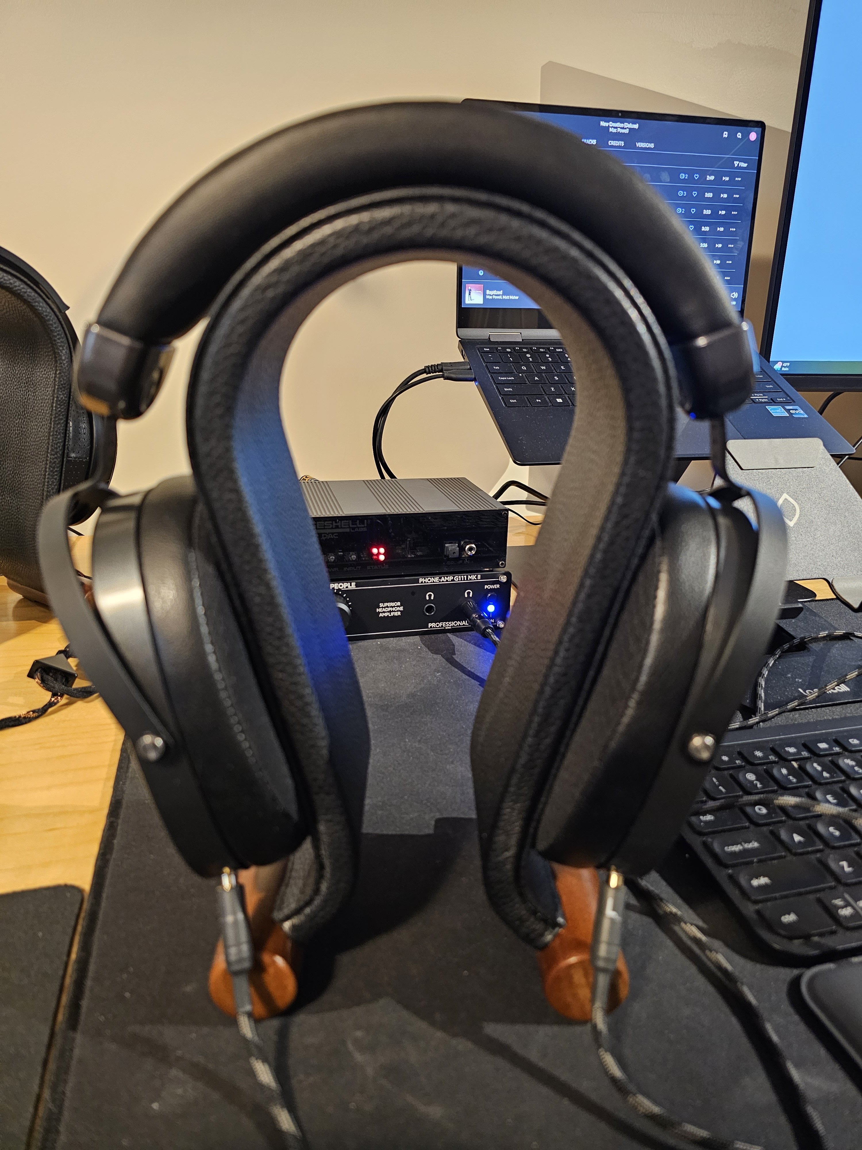 Sold: Hifiman Edition XS | Headphone Reviews and Discussion - Head-Fi.org