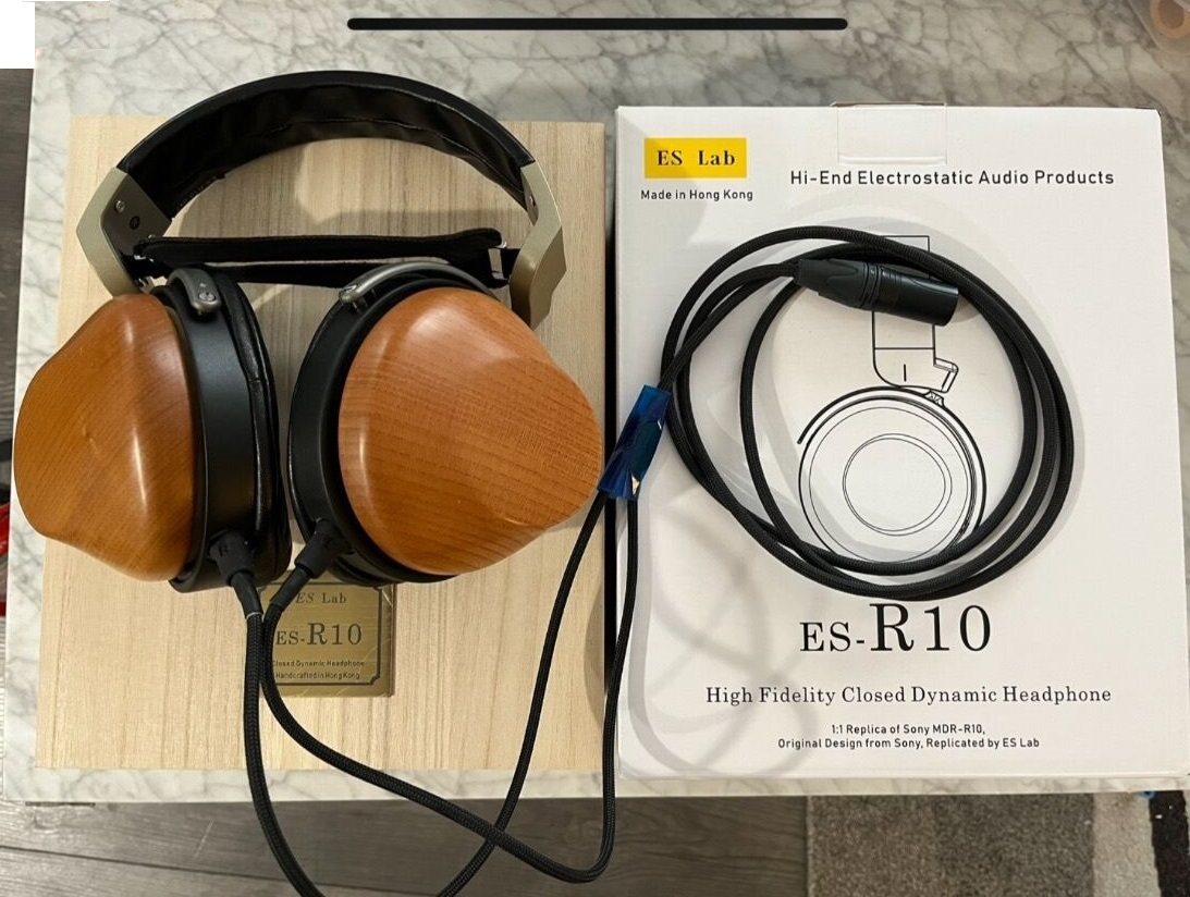 Sold: ES Lab ES-R10 | Headphone Reviews and Discussion - Head-Fi.org