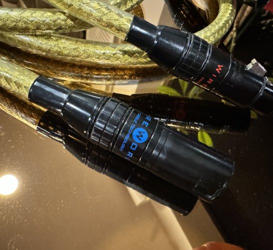 Sold: [EU] Wireword Gold Eclipse 5 XLR interconnects 1meter pair ...