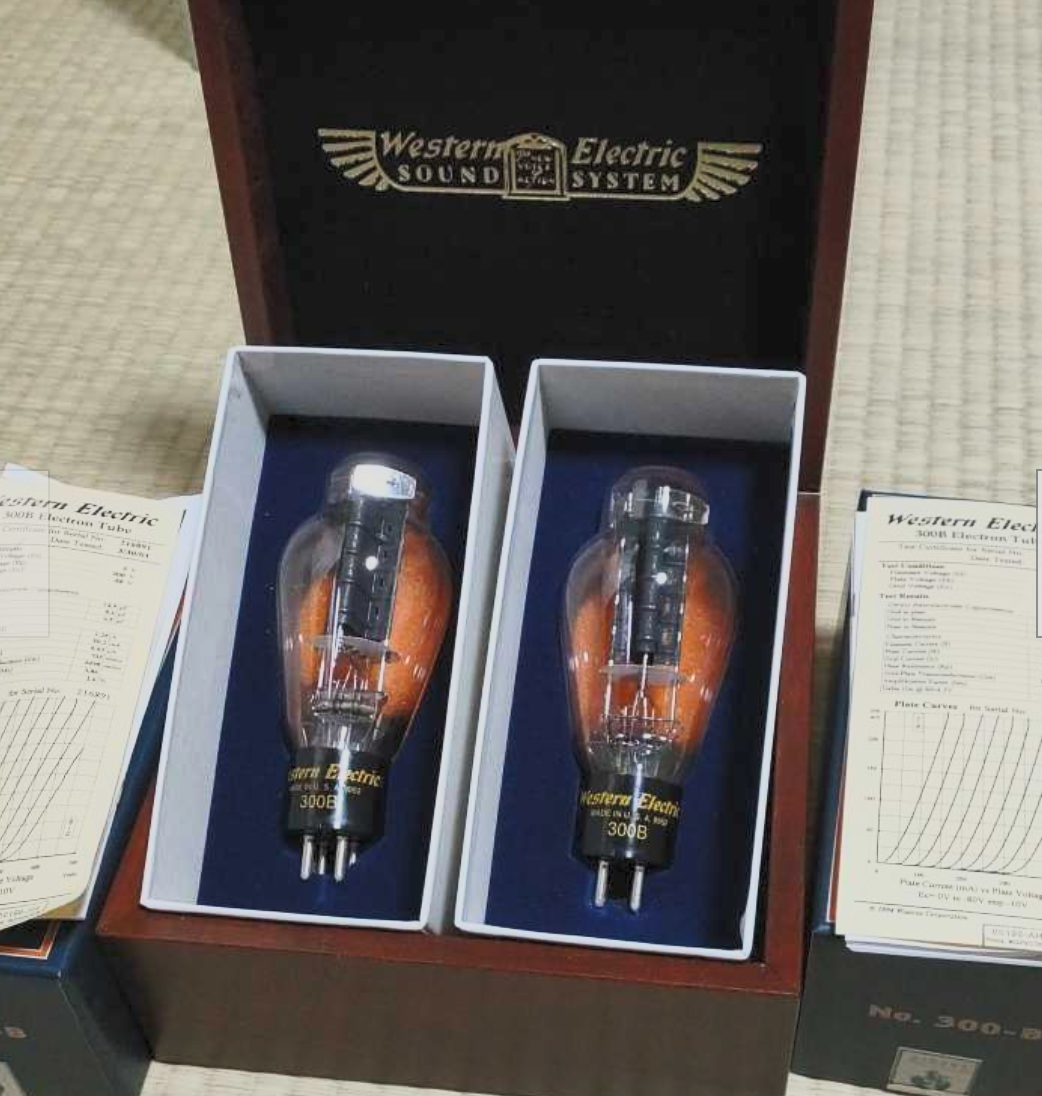 Closed: WE 300B Tubes / Takatsuki | Headphone Reviews and Discussion ...
