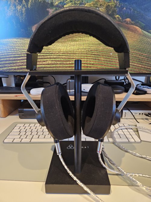 Closed: Final D8000 in excellent condition + extra earpad for D8000 LE ...