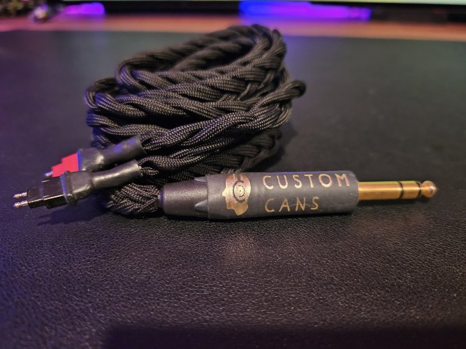 Sold: Custom cans sennheiser cable | Headphone Reviews and Discussion ...