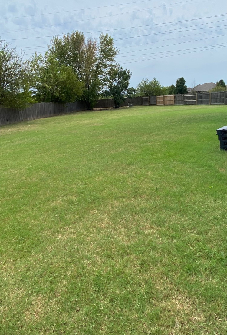 Schiit Happened: The Story of the World's Most Improbable Start-Up ...