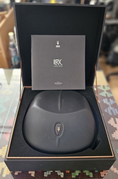 Closed: Meze Liric (1st gen) | Headphone Reviews and Discussion - Head ...