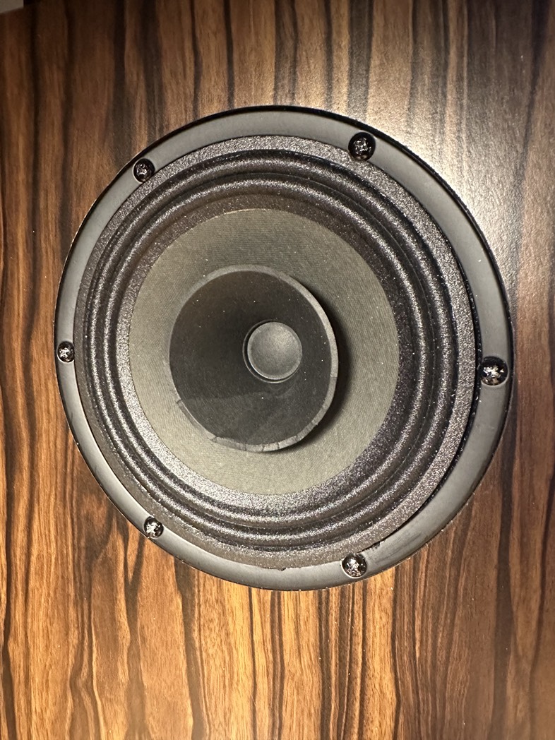 Closed: Omega Super Alnico Monitors - EKO Ebony finish | Headphone ...