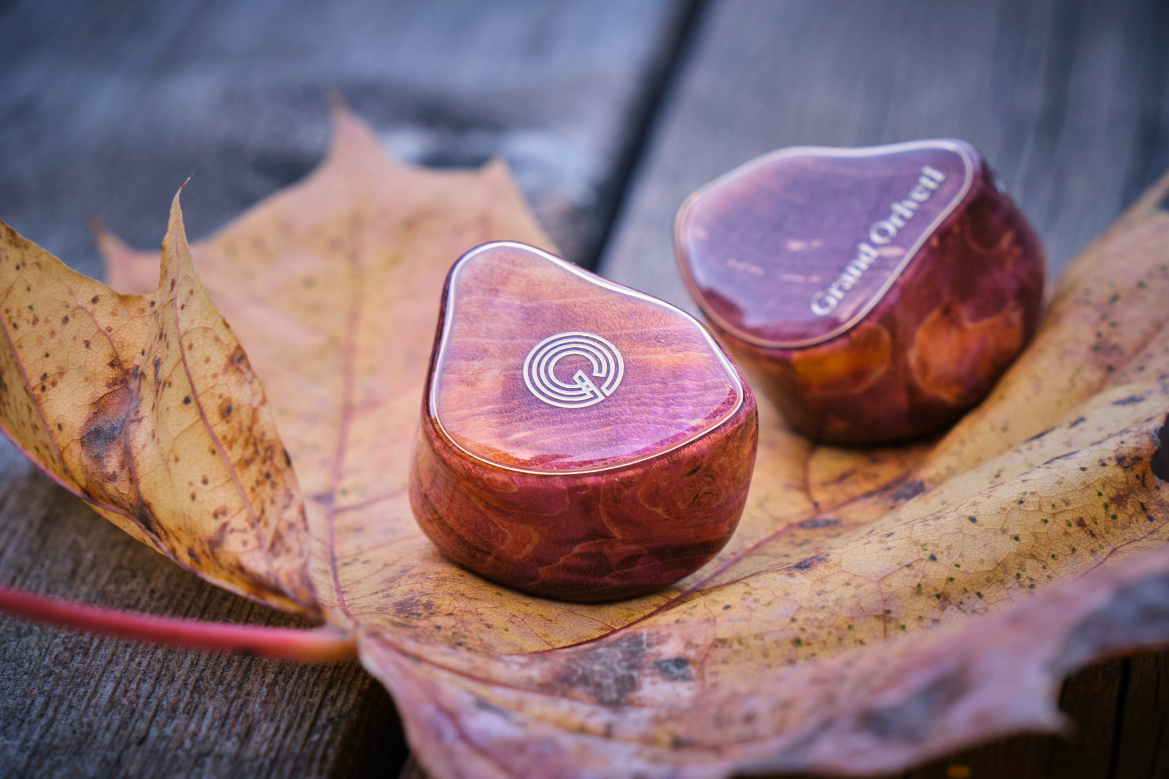 Show Off Your IEMs/Buds And Accessories! | Page 244 | Headphone Reviews ...