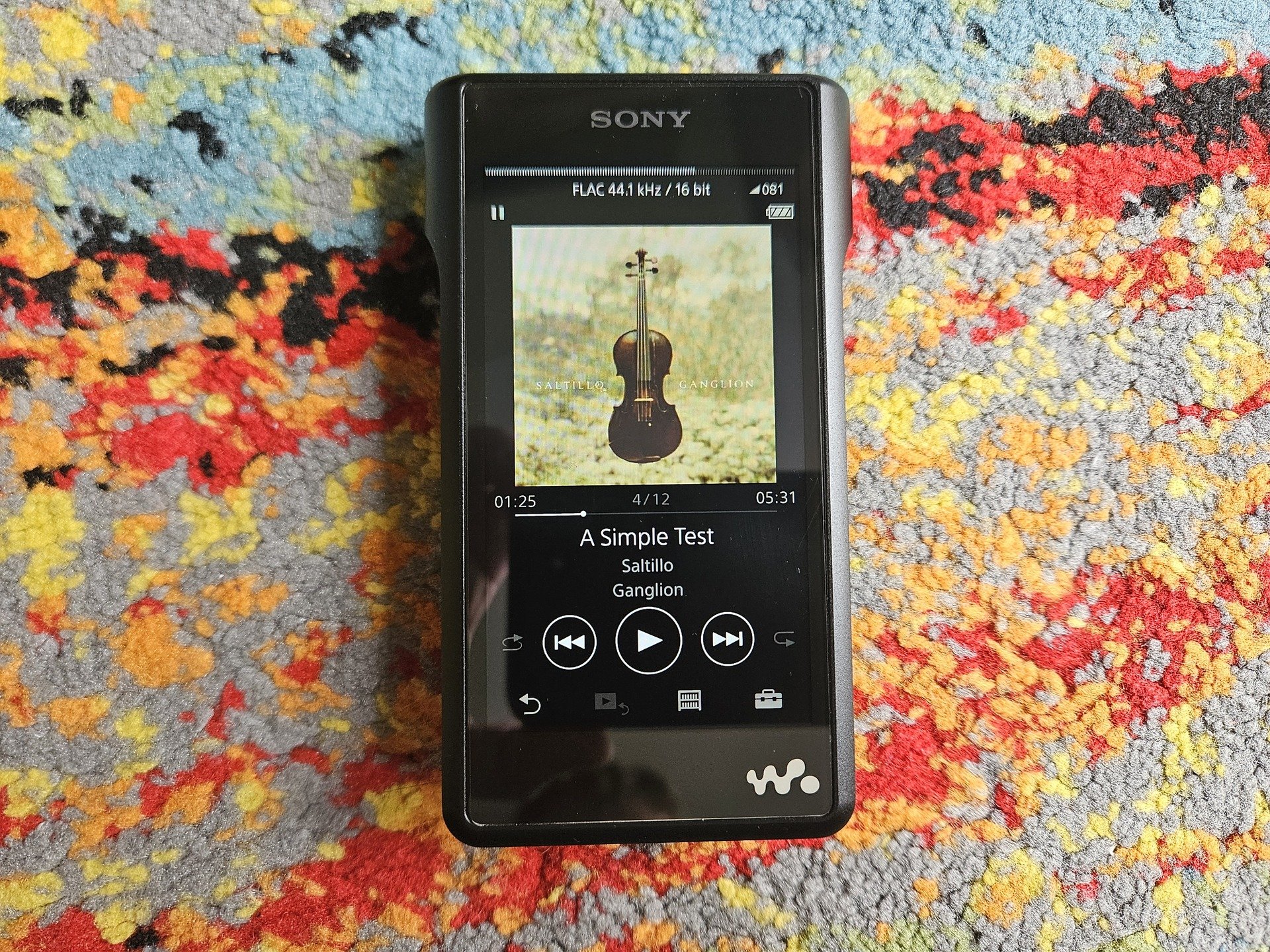 Sony WM1A + case | Headphone Reviews and Discussion - Head-Fi.org