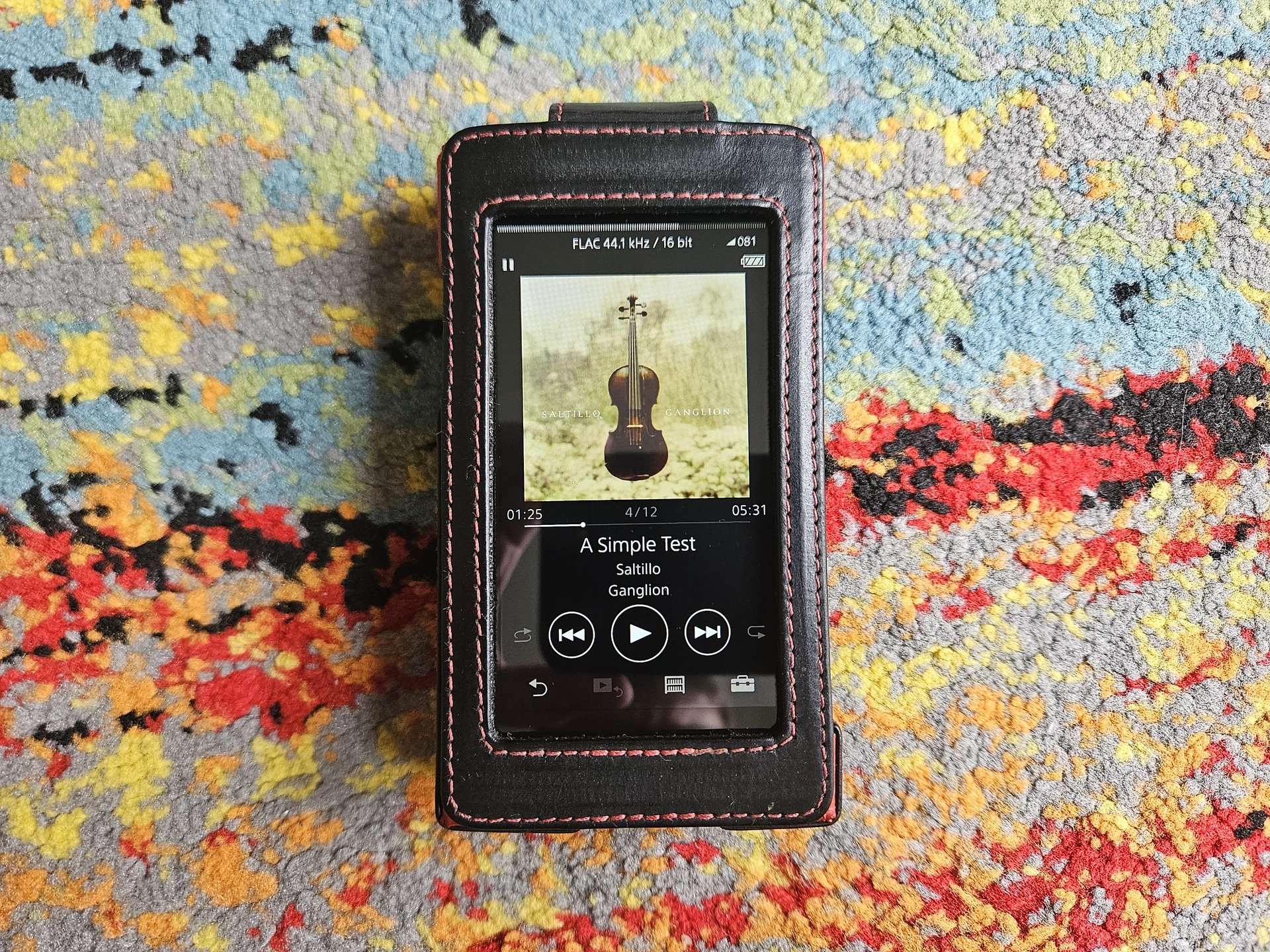 Sony WM1A + case | Headphone Reviews and Discussion - Head-Fi.org