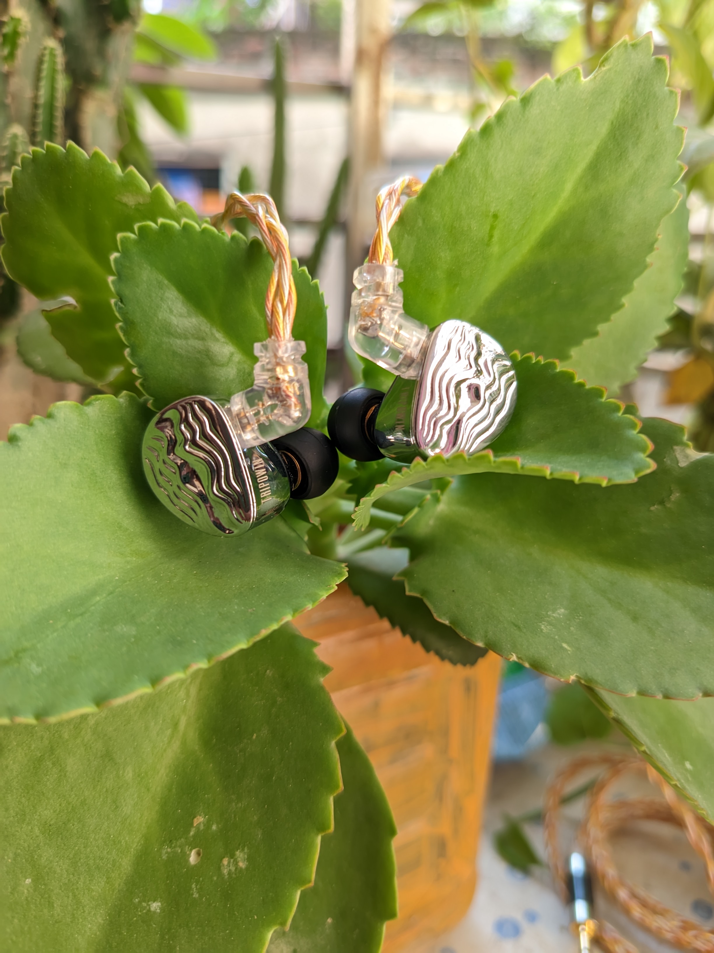 Tripowin Piccolo | Headphone Reviews and Discussion - Head-Fi.org