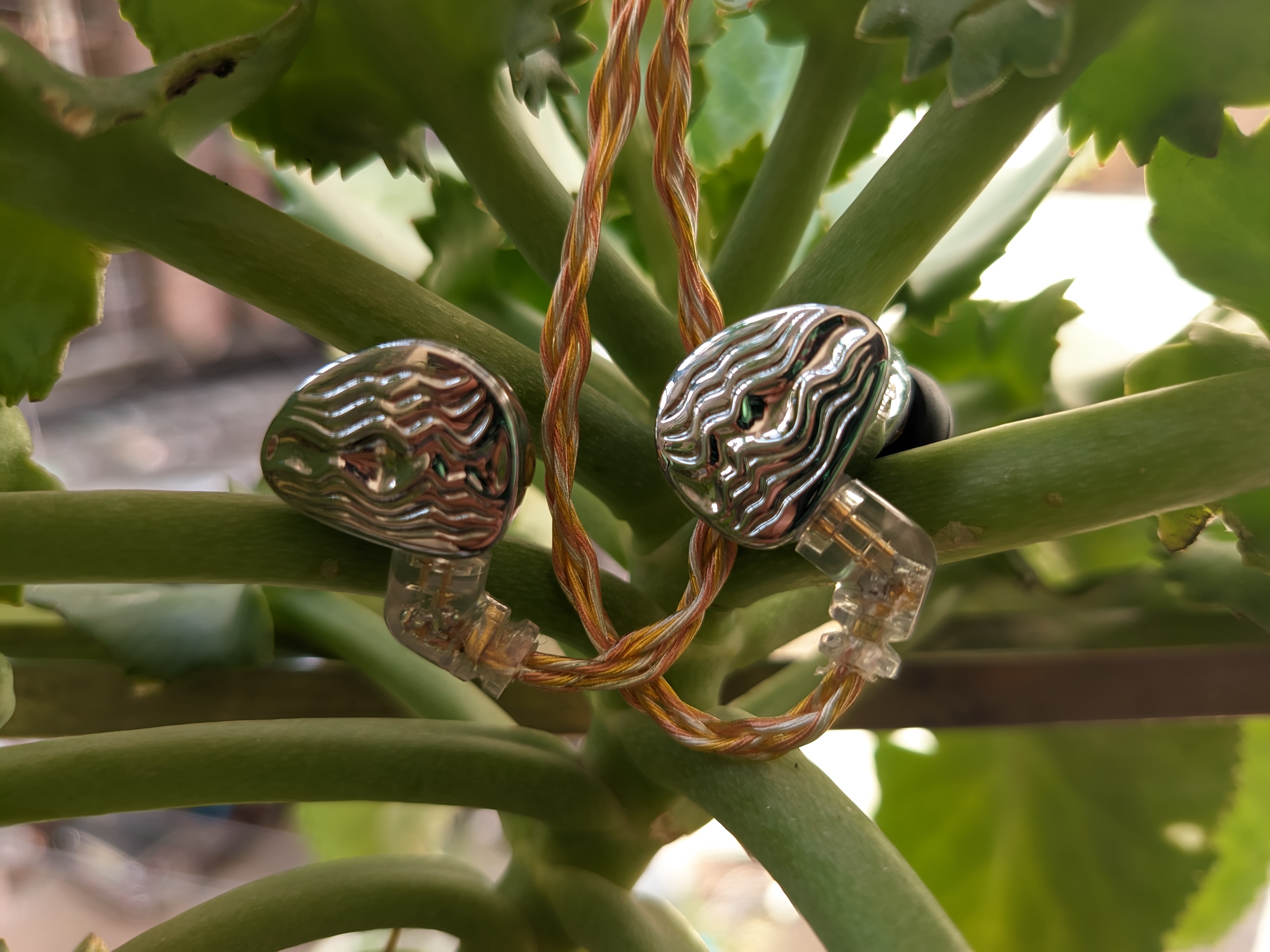 Tripowin Piccolo | Headphone Reviews and Discussion - Head-Fi.org