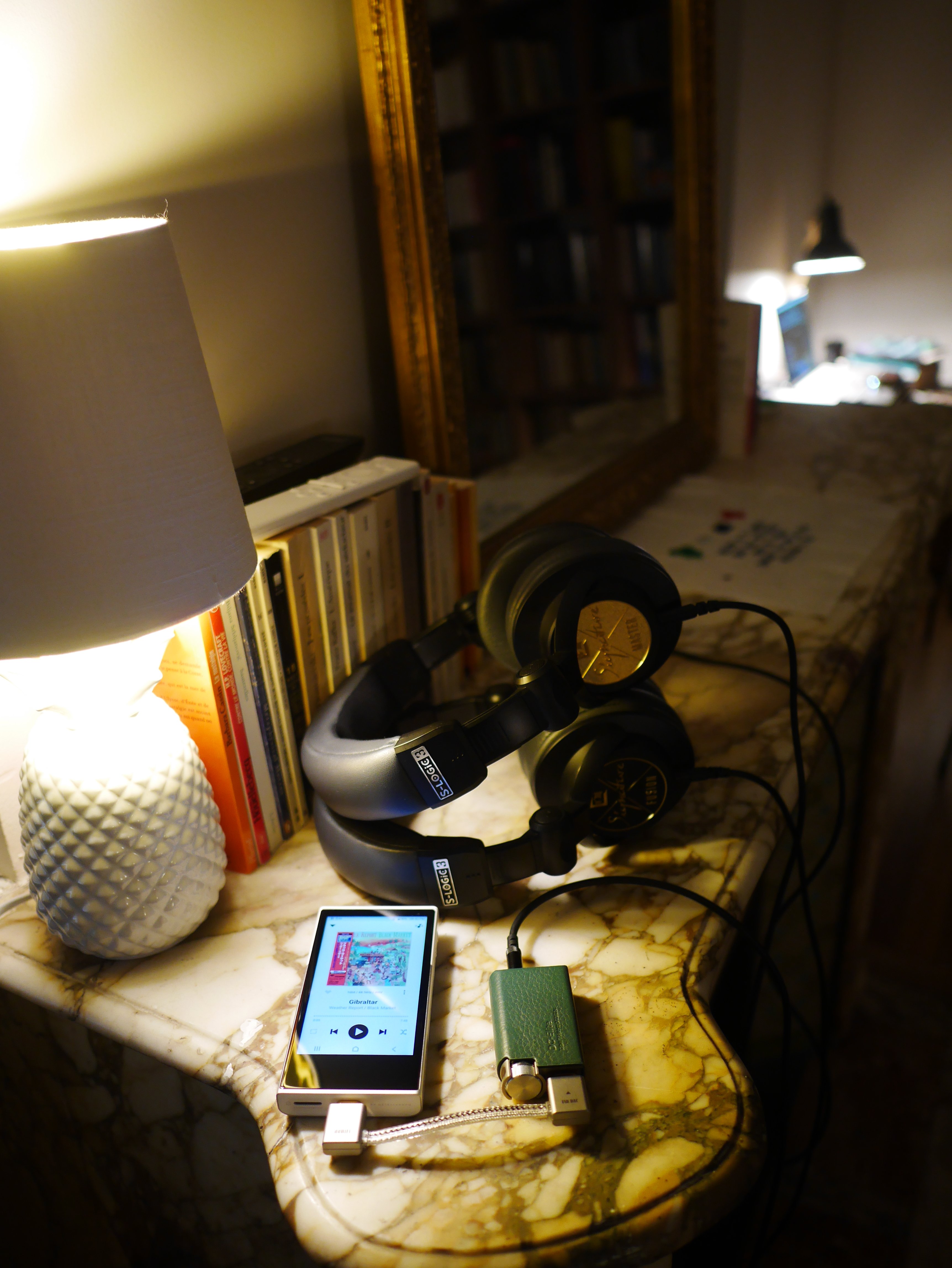 IBasso DC-Elite . . . The no compromise DAC/AMP with a true Stepped ...