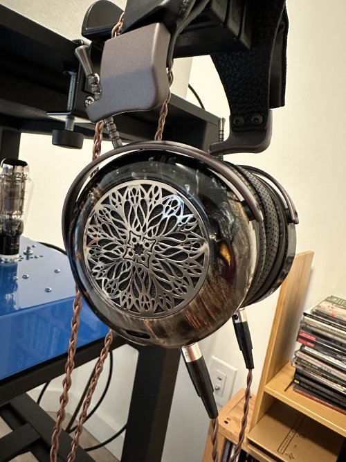 Zmf atrium open stabilized Used Price | HifiZero