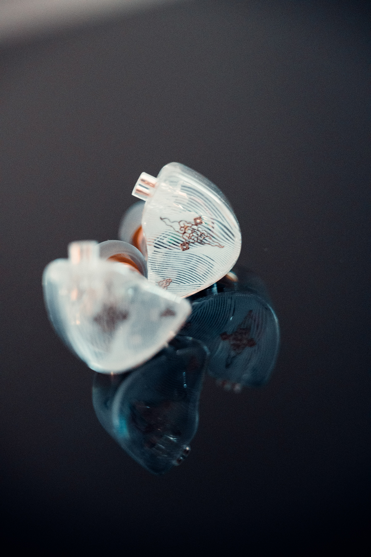 Show Off Your IEMs/Buds And Accessories! | Page 251 | Headphone Reviews ...
