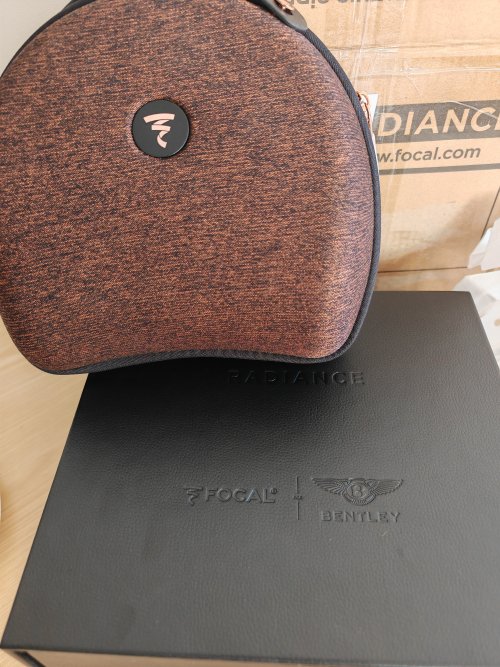 Sold: Focal Radiance + 4.4mm cable - perfect condition | Headphone ...
