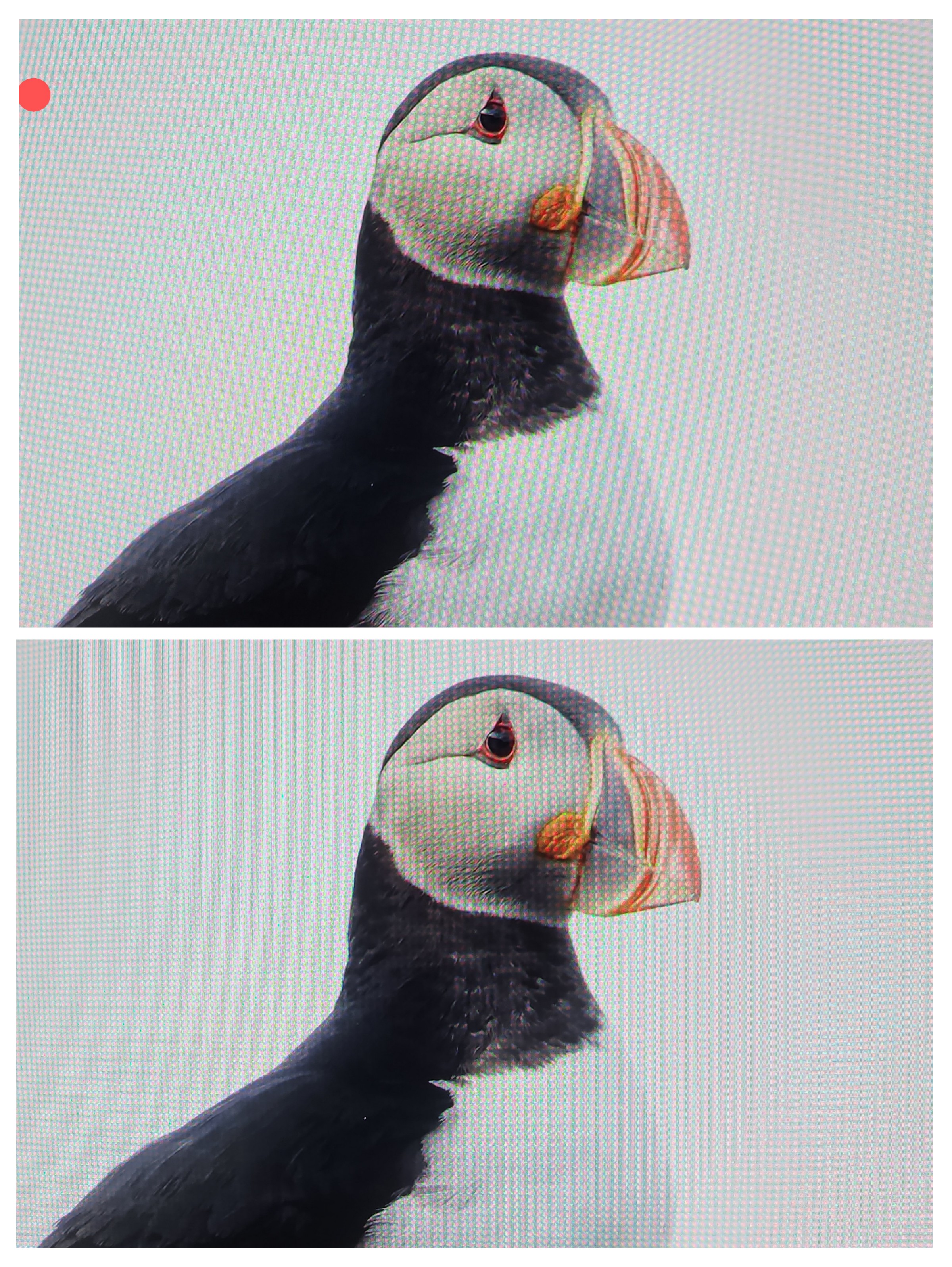 iFi Audio announces the HDMI iSilencer | Headphone Reviews and Discussion - Head-Fi.org