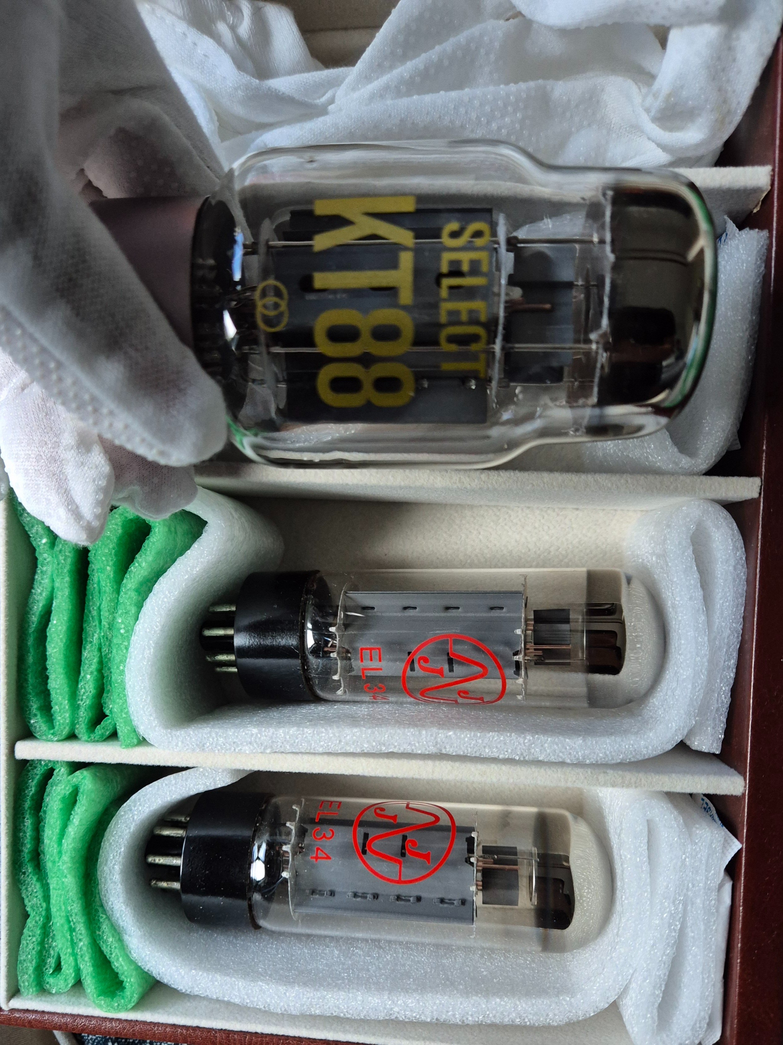 ZMF Aegis Official Thread | Page 343 | Headphone Reviews and Discussion - Head-Fi.org