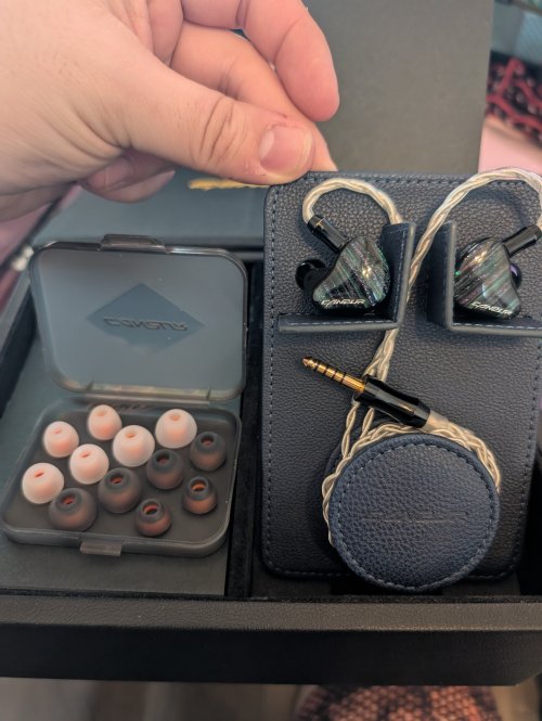 WTS (con-US) Canpur CP54e IEM (4.4mm) | Headphone Reviews and ...