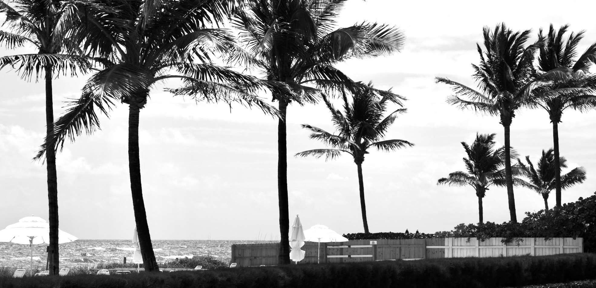 The Watercooler -- Impressions, philosophical discussion and general ...