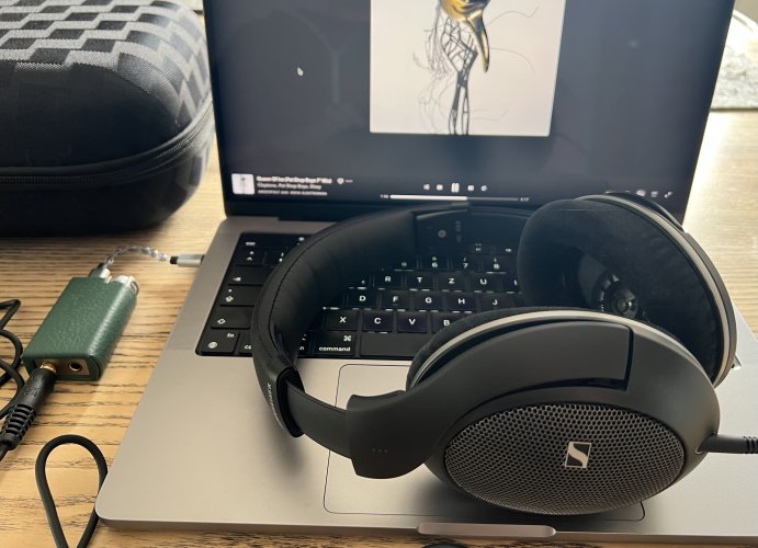 HD 550 - Reviews | Headphone Reviews and Discussion - Head-Fi.org