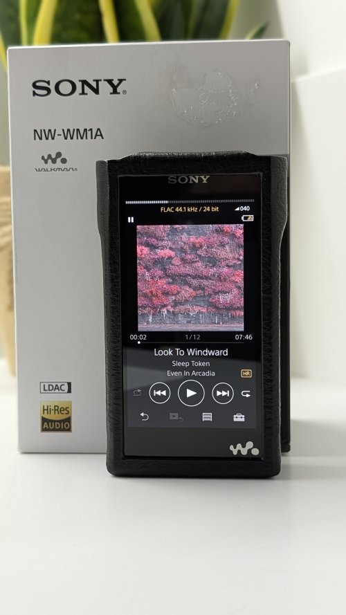 Sold: Sony Walkman WM1A (NPAudio EXPMv5 mod) | Headphone Reviews and ...