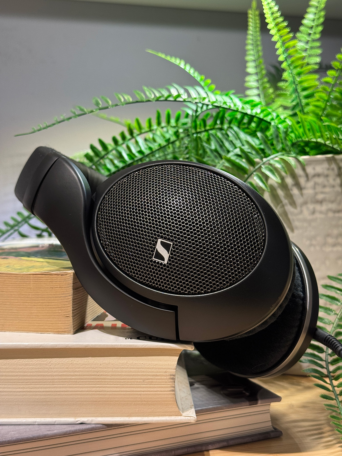 HD 550 - Reviews | Headphone Reviews and Discussion - Head-Fi.org