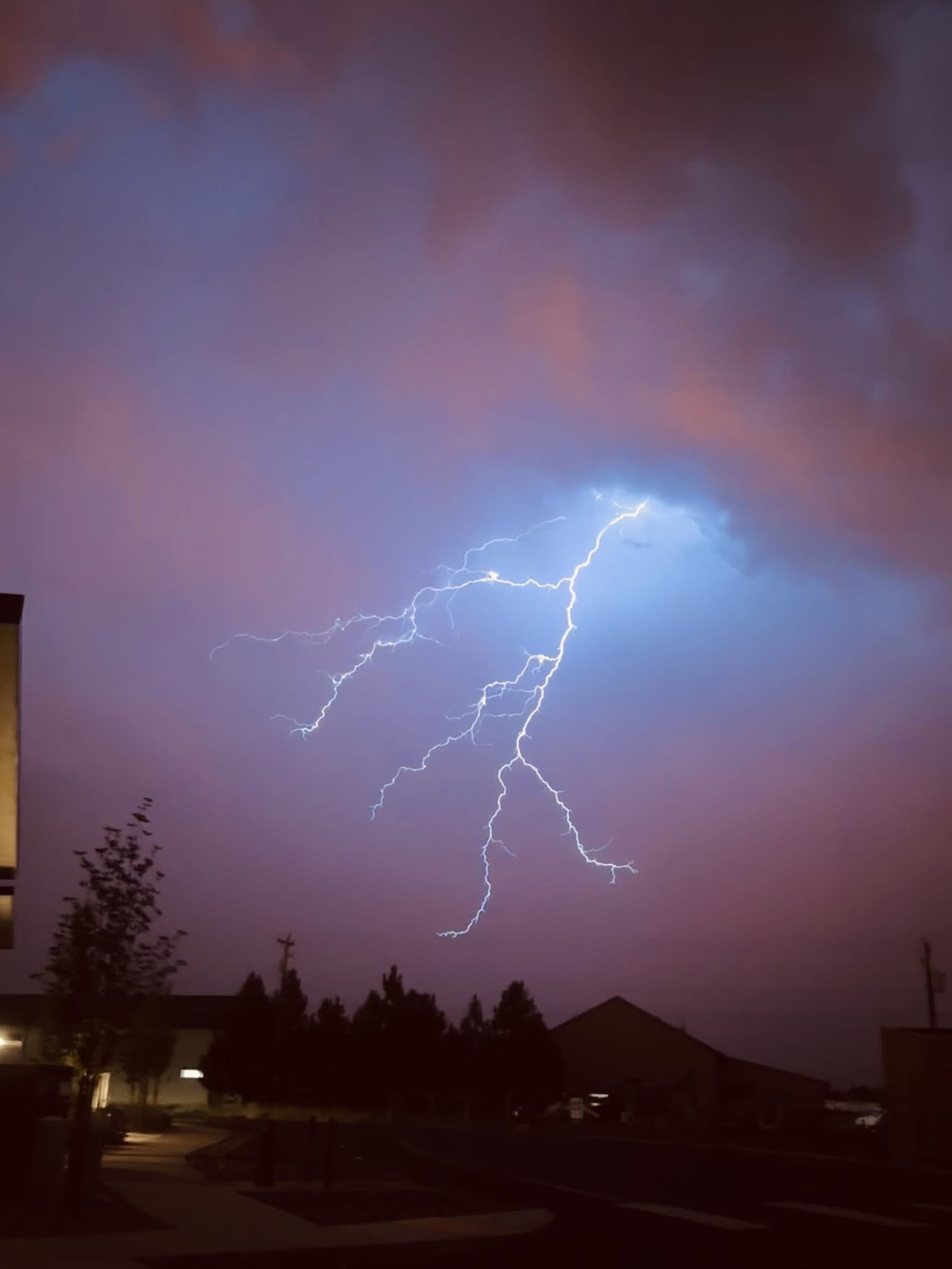 Schiit Happened: The Story of the World's Most Improbable Start-Up ...