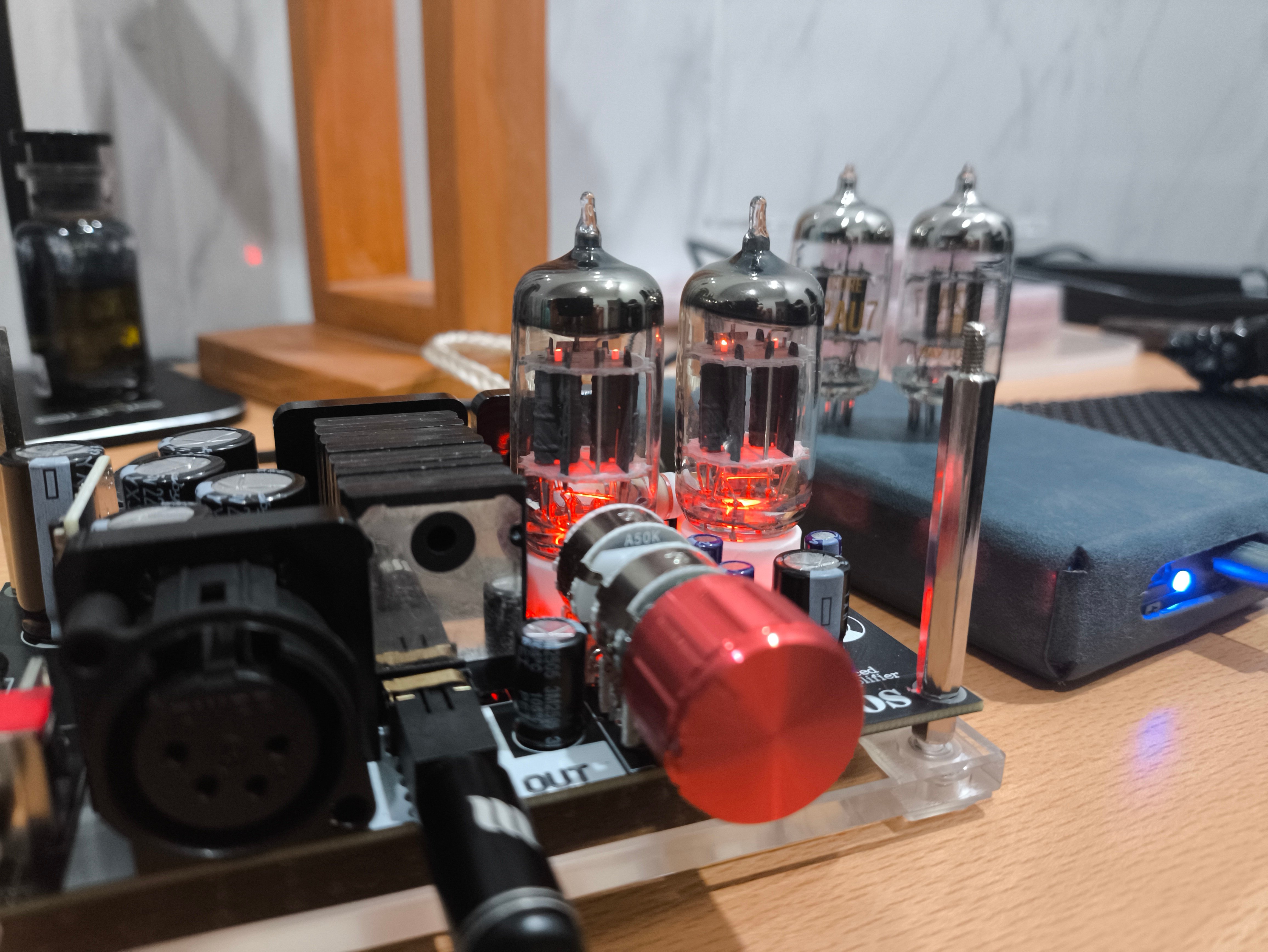 Apos x Community Gremlin Tube Amp - Pre-order Now on Apos | Page 31 ...