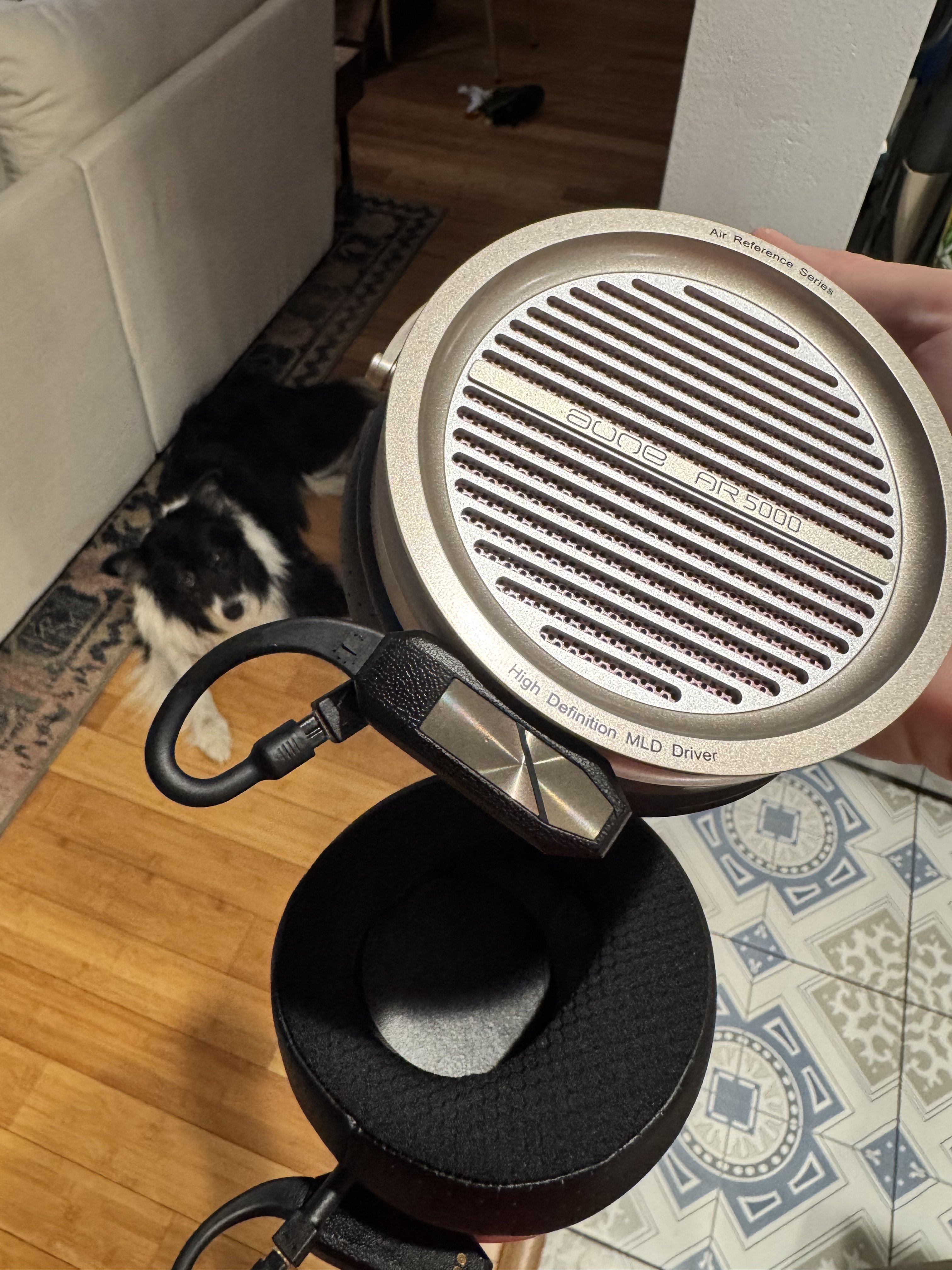 iFi audio GO pod + IEMs = brilliant wireless sound on the GO! | Page ...