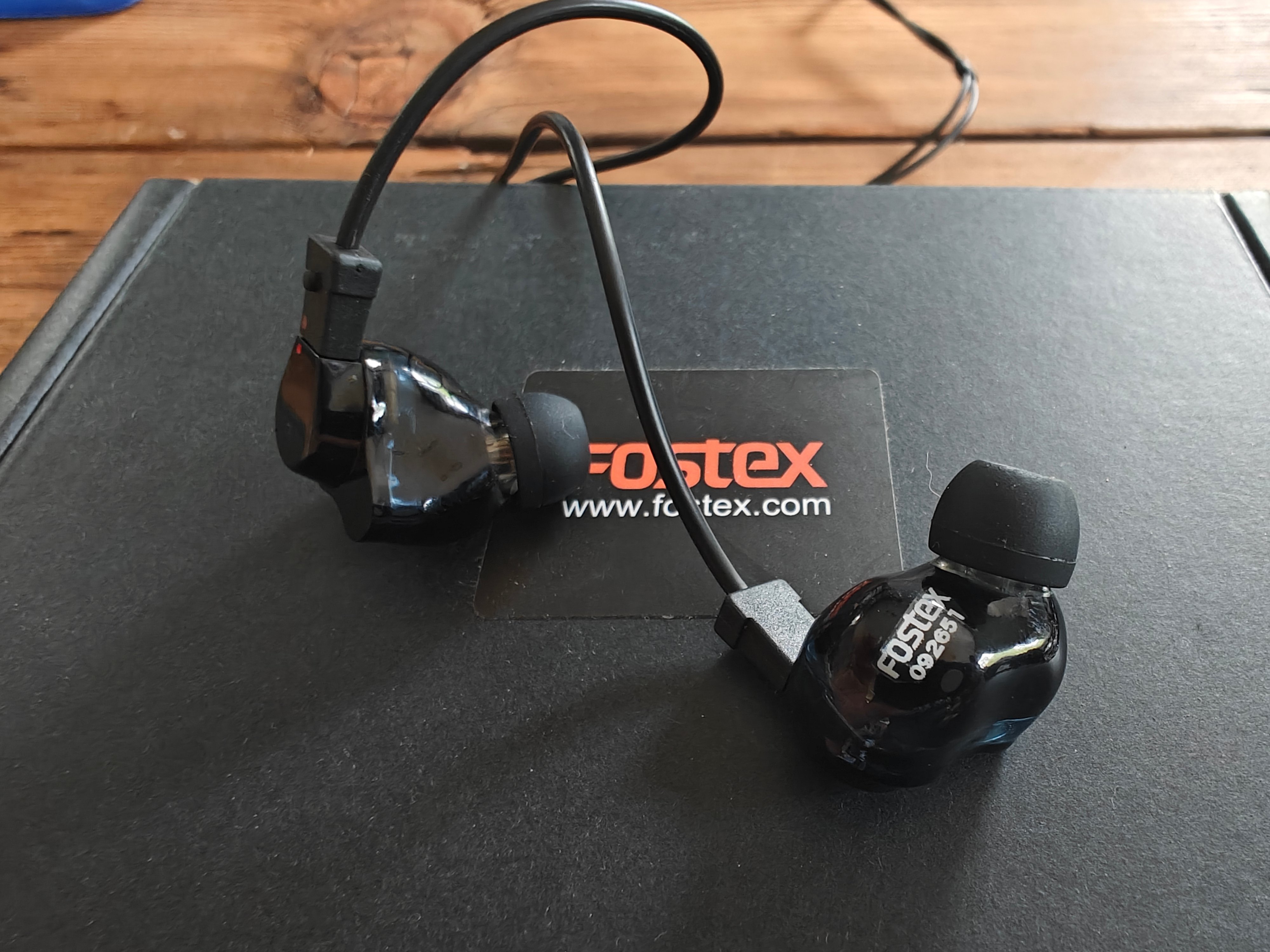 Fostex TE-100 | Headphone Reviews and Discussion - Head-Fi.org