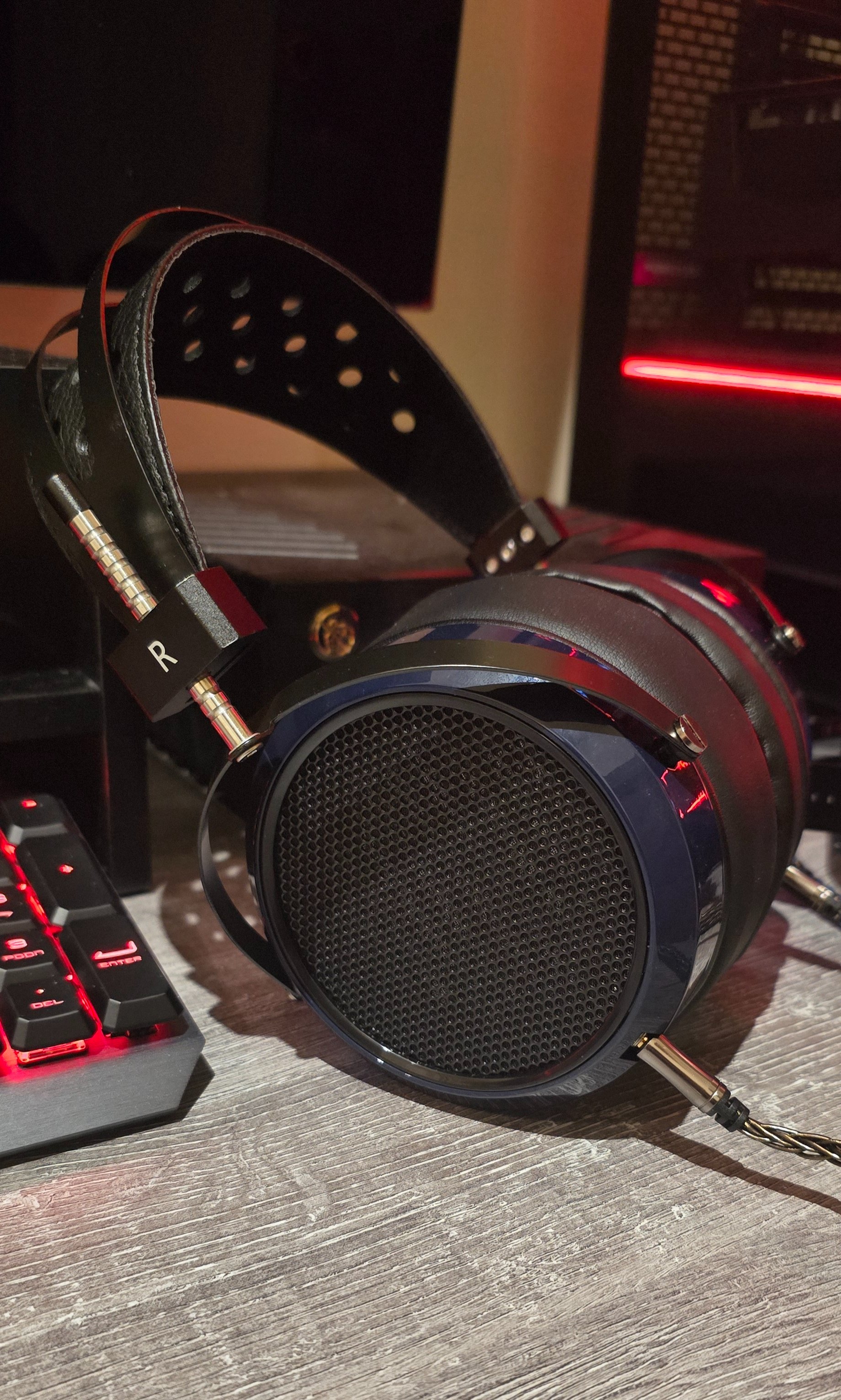 Hifiman HE6-SE | Page 279 | Headphone Reviews and Discussion - Head-Fi.org